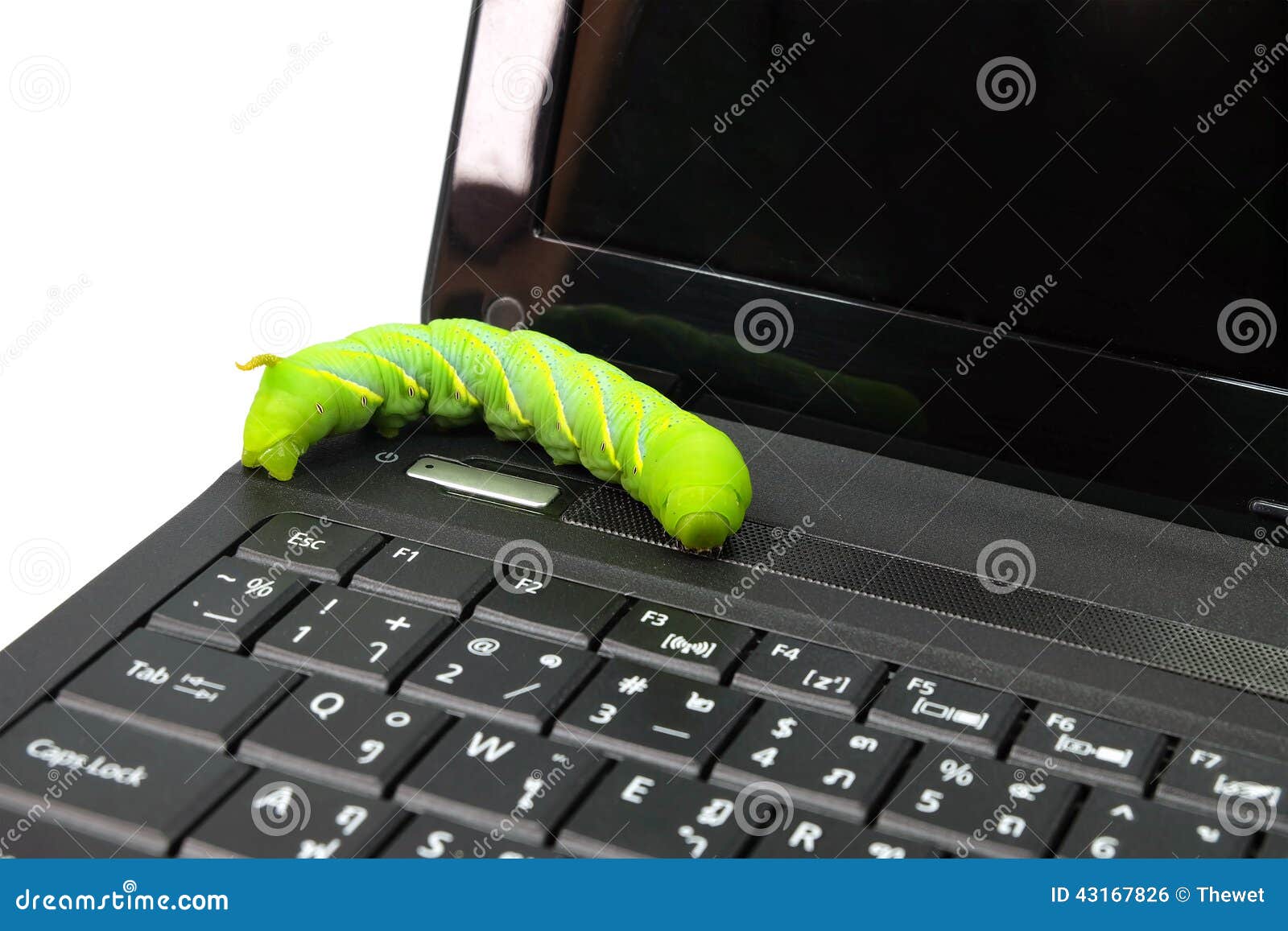 Caterpillar on computer stock photo. Image of laptop - 43167826