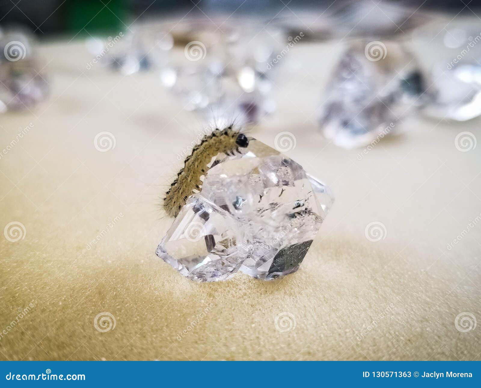 Caterpillar on Crystal stock image. Image of caterpillar - 130571363