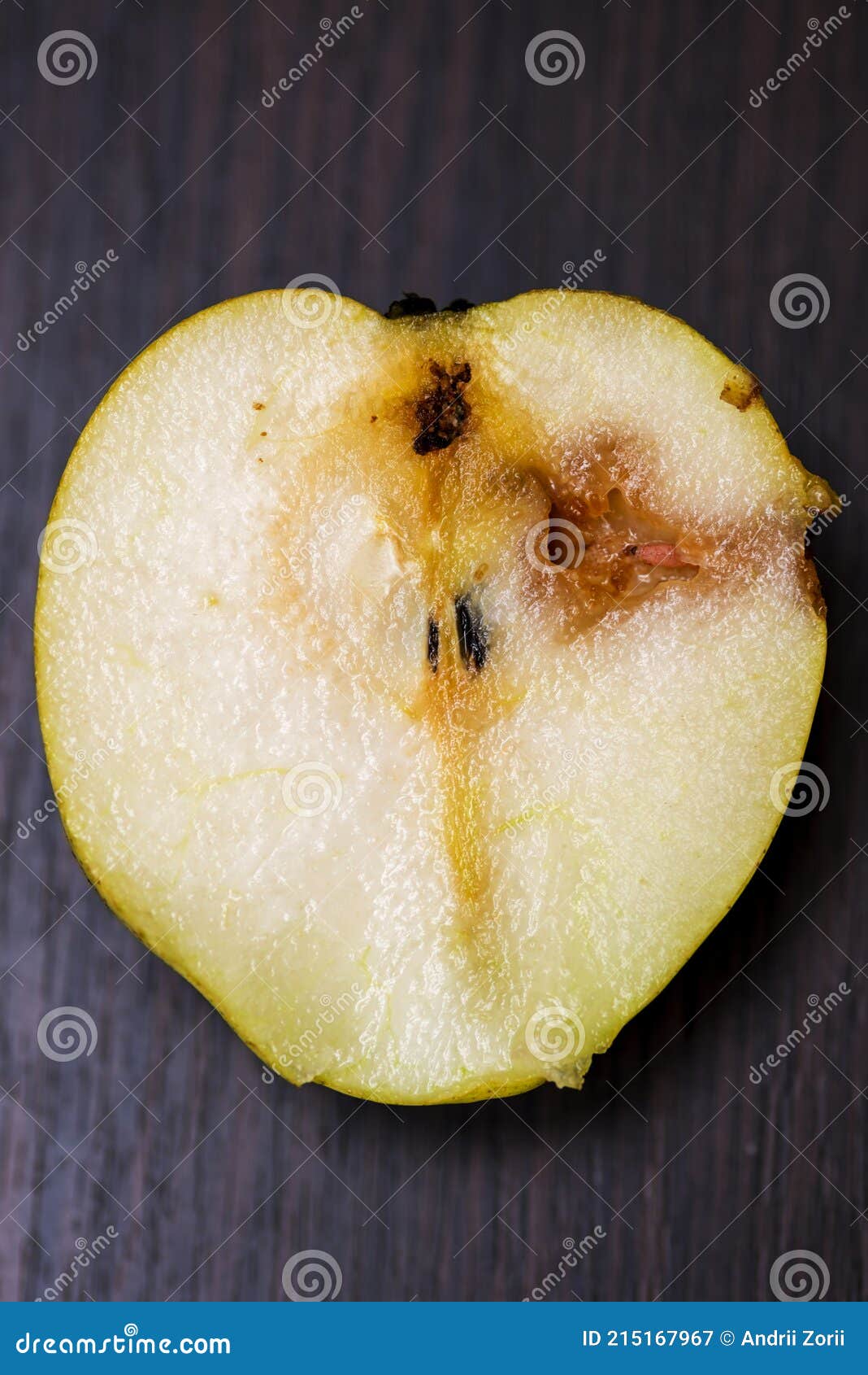Apple With Larva Traces Of A Codling Moth Cydia Pomonella Stock Photo ...