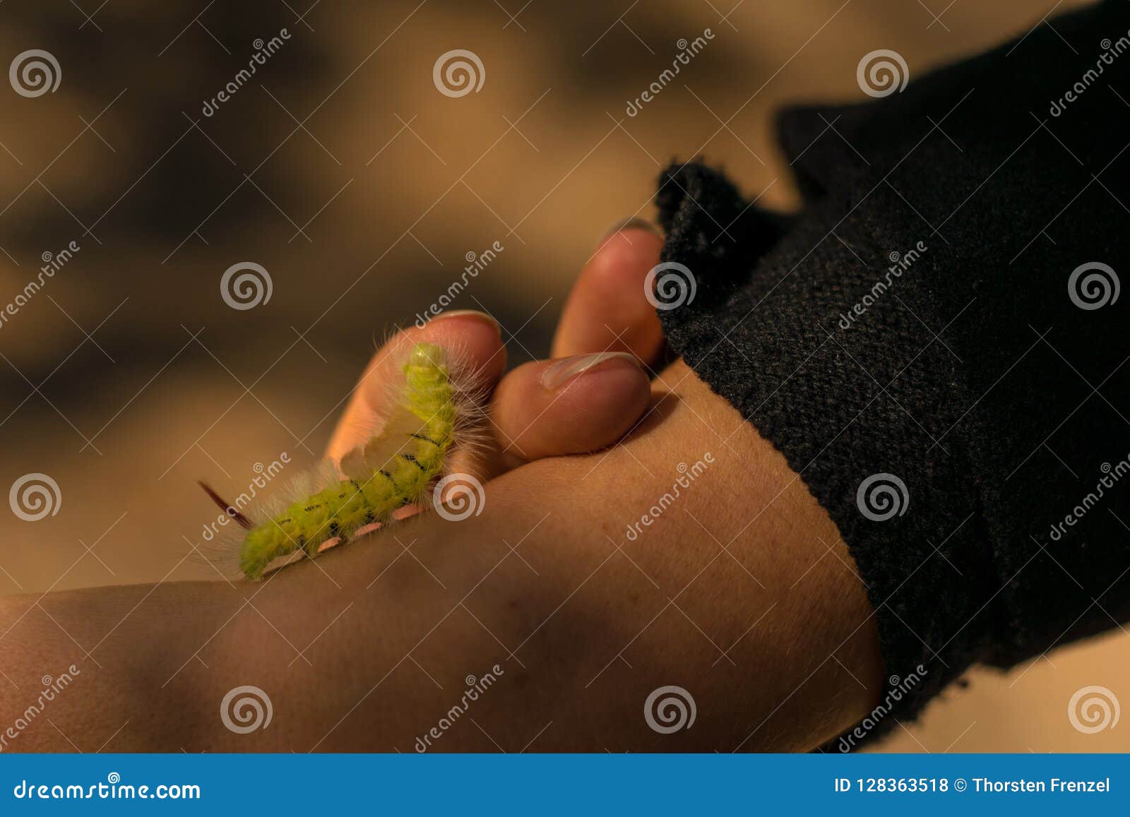 Caterpillar on a hand stock photo. Image of happy, nature - 128363518