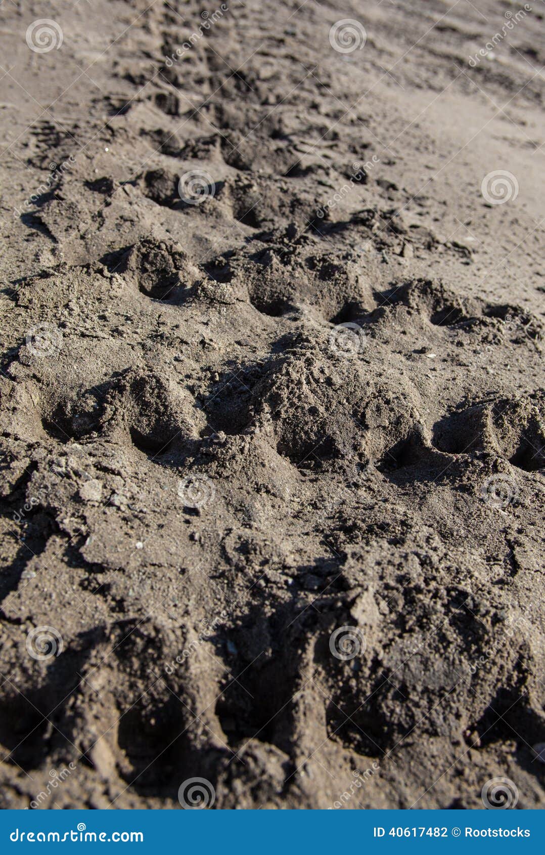 Caterpillar Tracks Traces on the Ground Stock Photo - Image of dirty ...