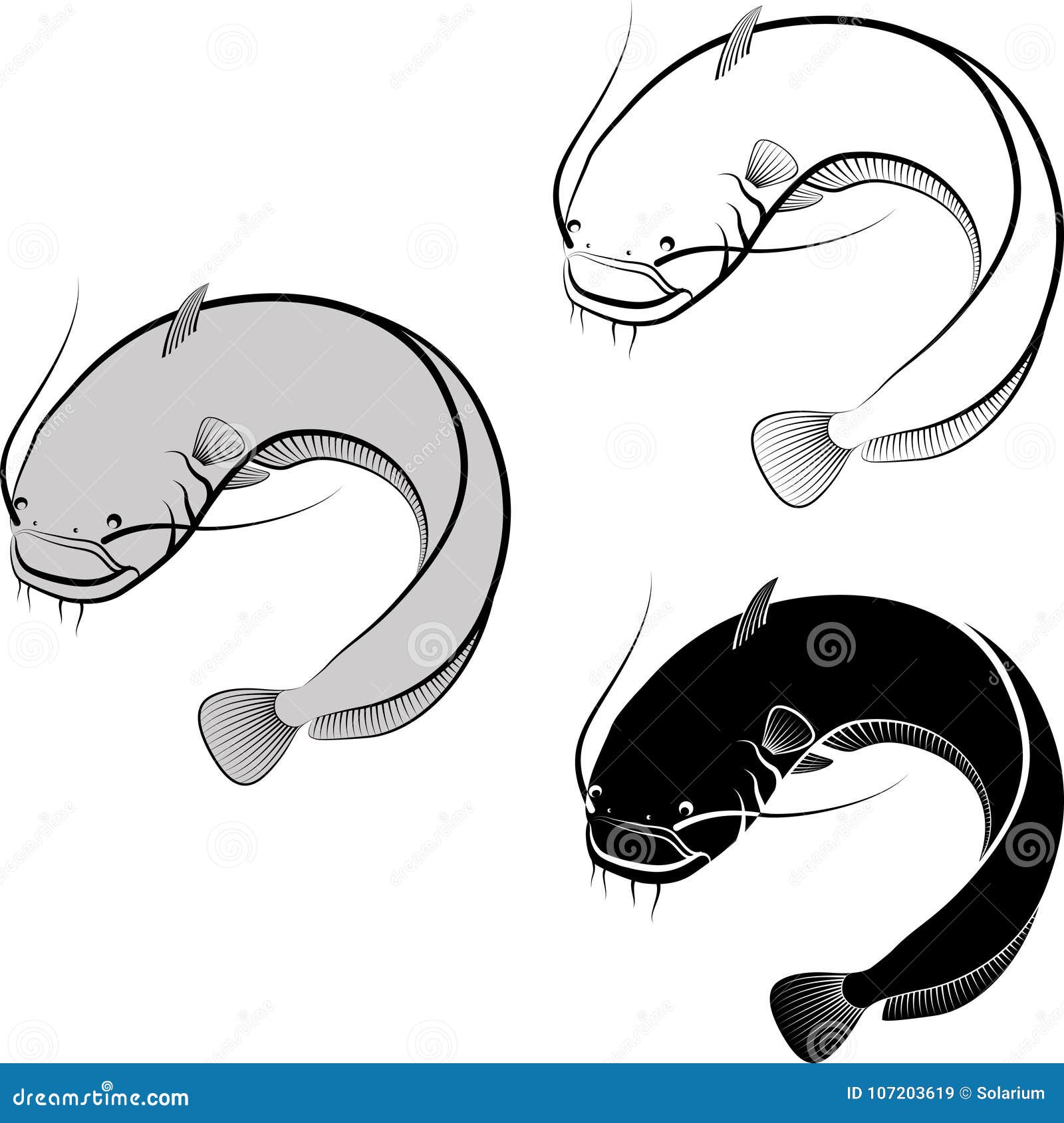 Sheatfish Or Wels Catfish Swimming Down Retro Black And White Vector ...