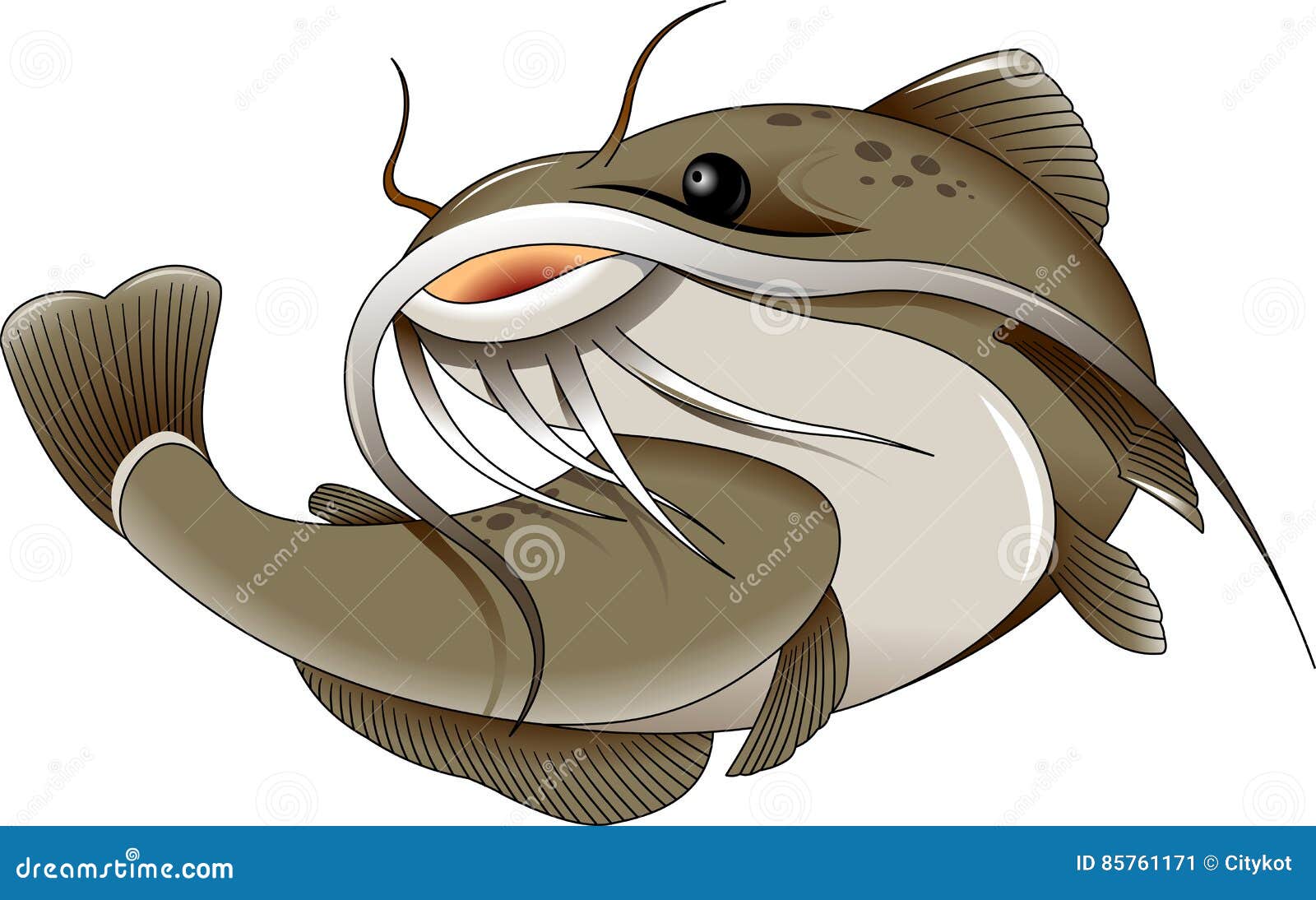 Catfish Cartoon Vector | CartoonDealer.com #53745637
