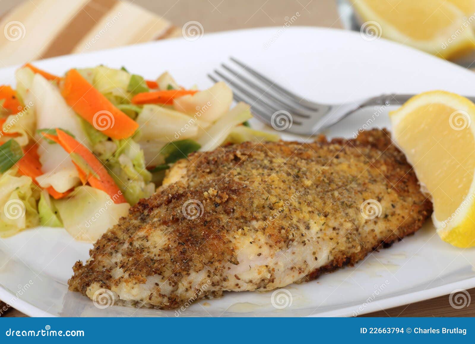 Catfish Fillet Closeup stock photo. Image of lemon, food - 22663794
