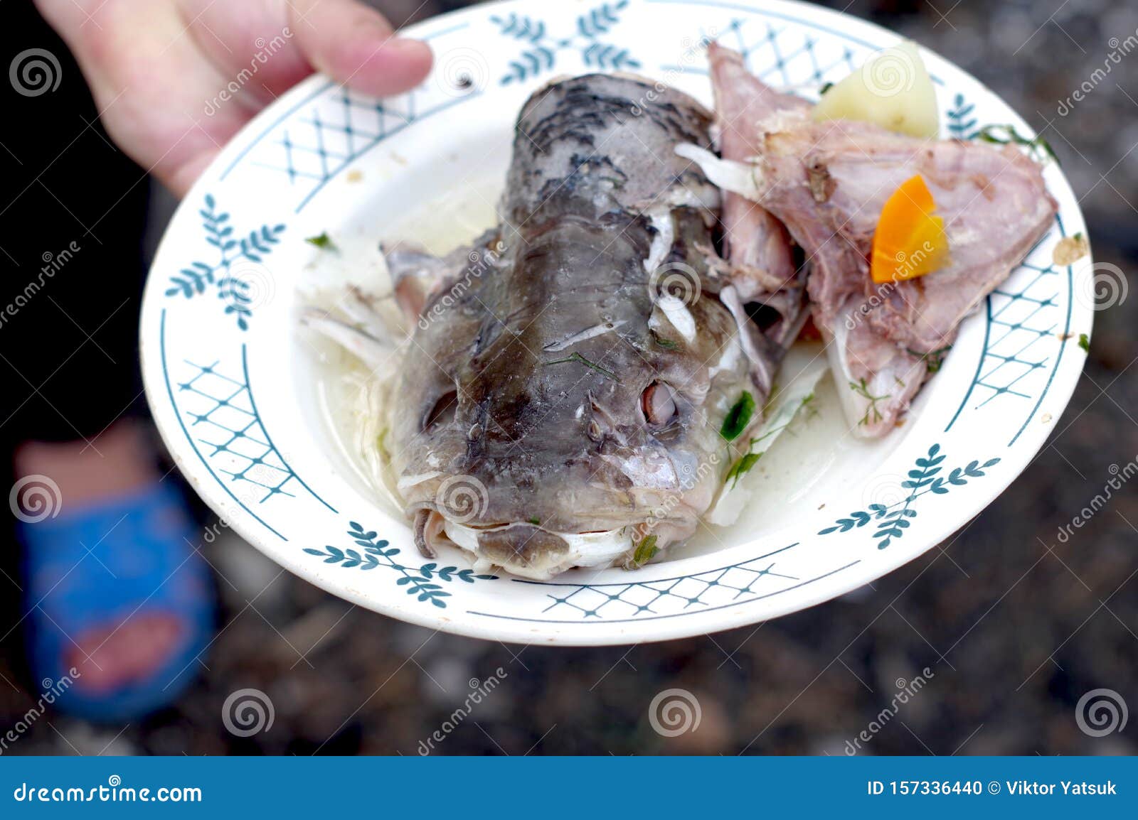 Catfish Head on a Plate. Boiled Catfish in a Plate Stock Photo - Image ...