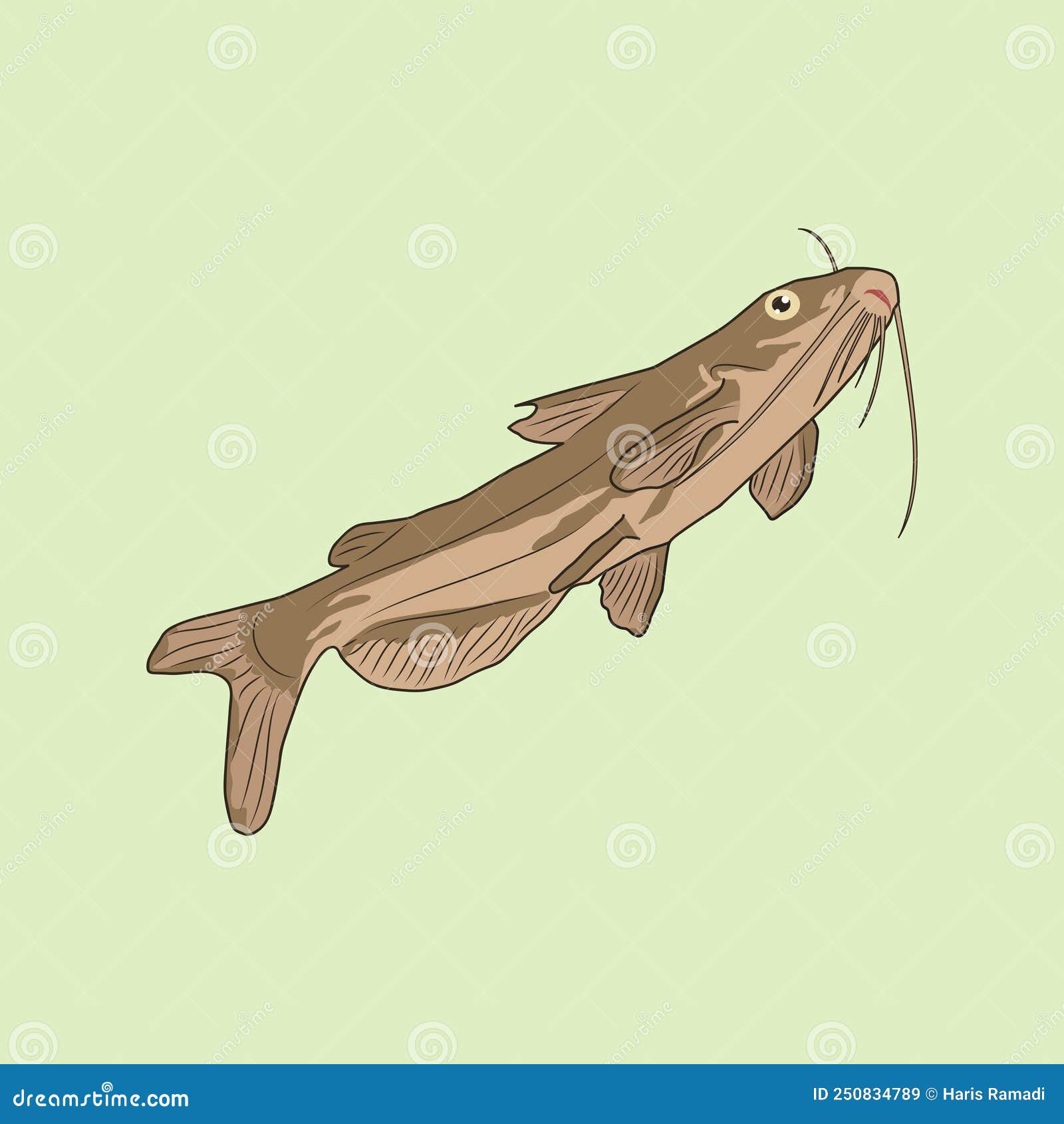 Catfish Illustration With Pastel Background Colors | CartoonDealer.com ...