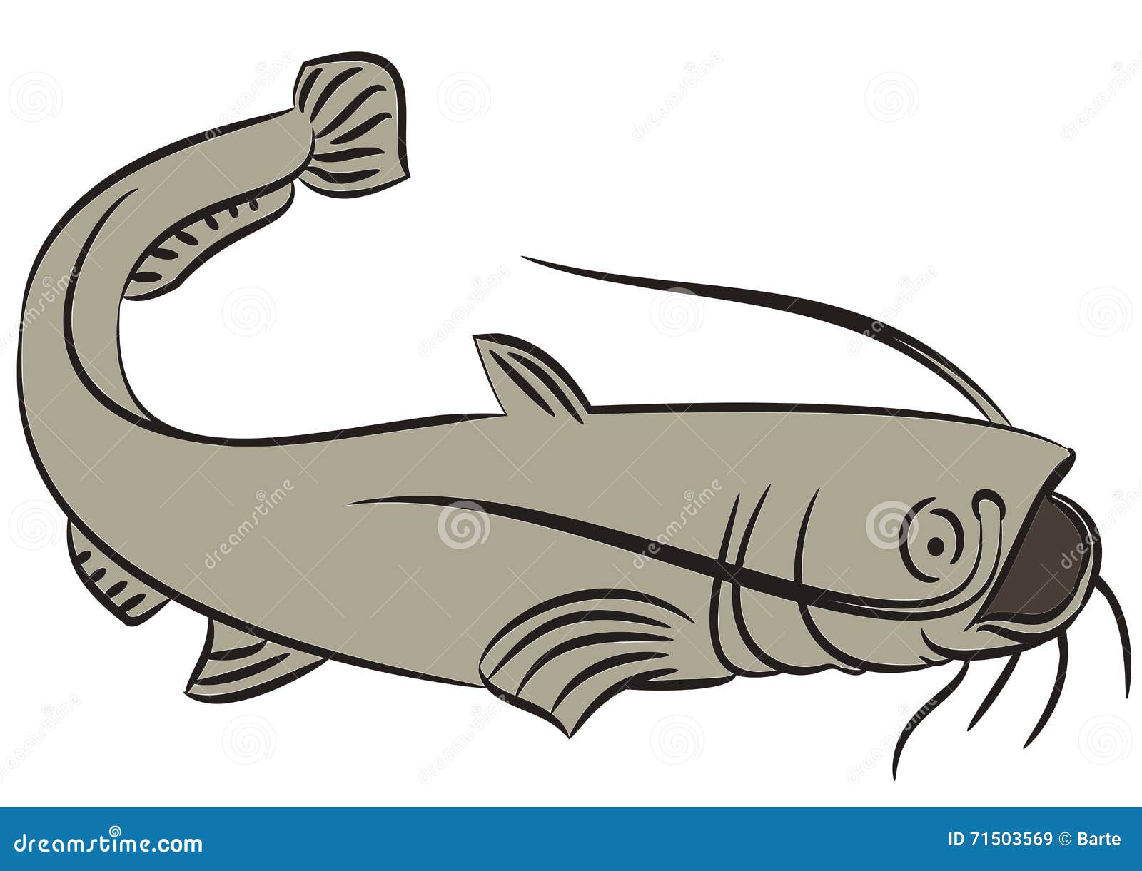 Catfish Illustration Cartoon Vector | CartoonDealer.com #108114873