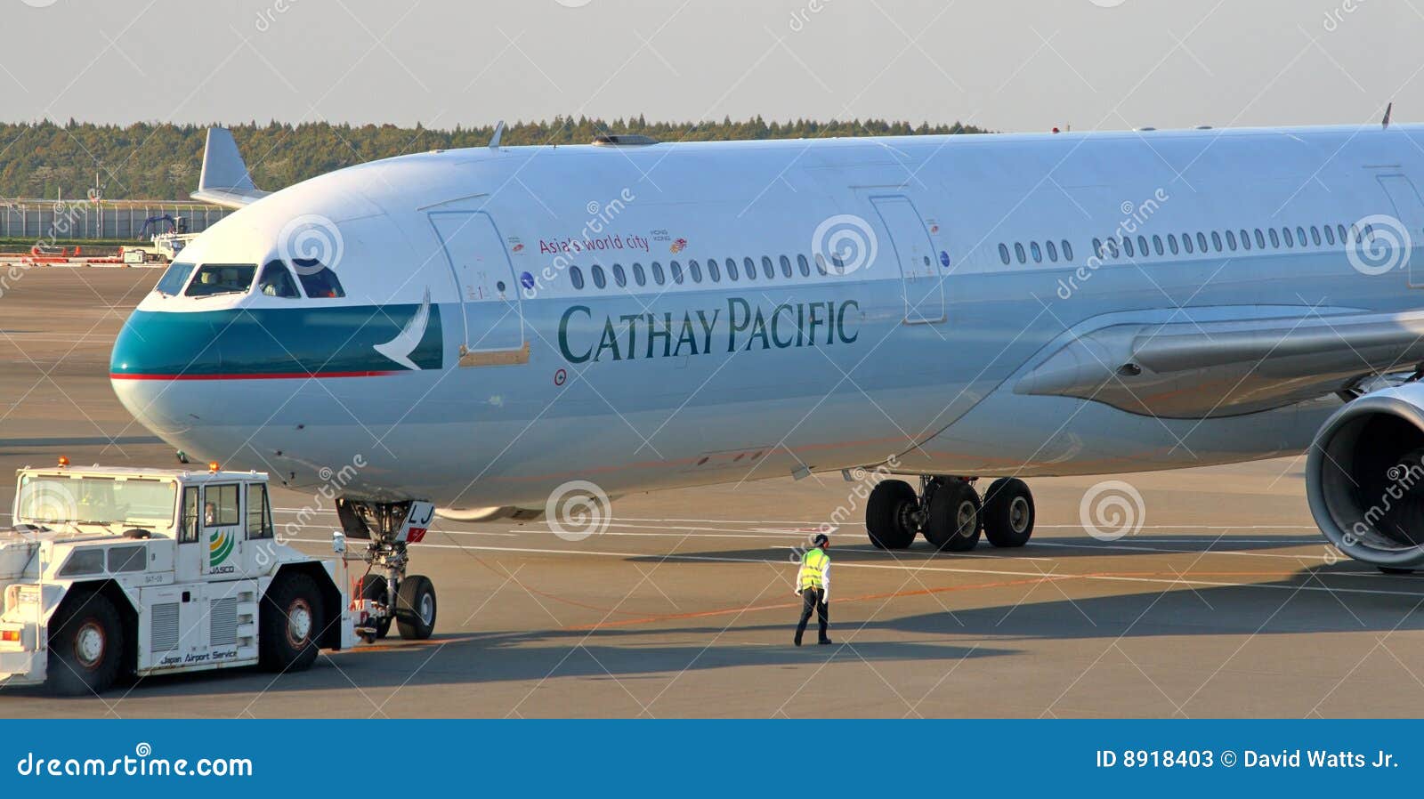Cathay Pacific Aircraft Editorial Image | CartoonDealer.com #60911572