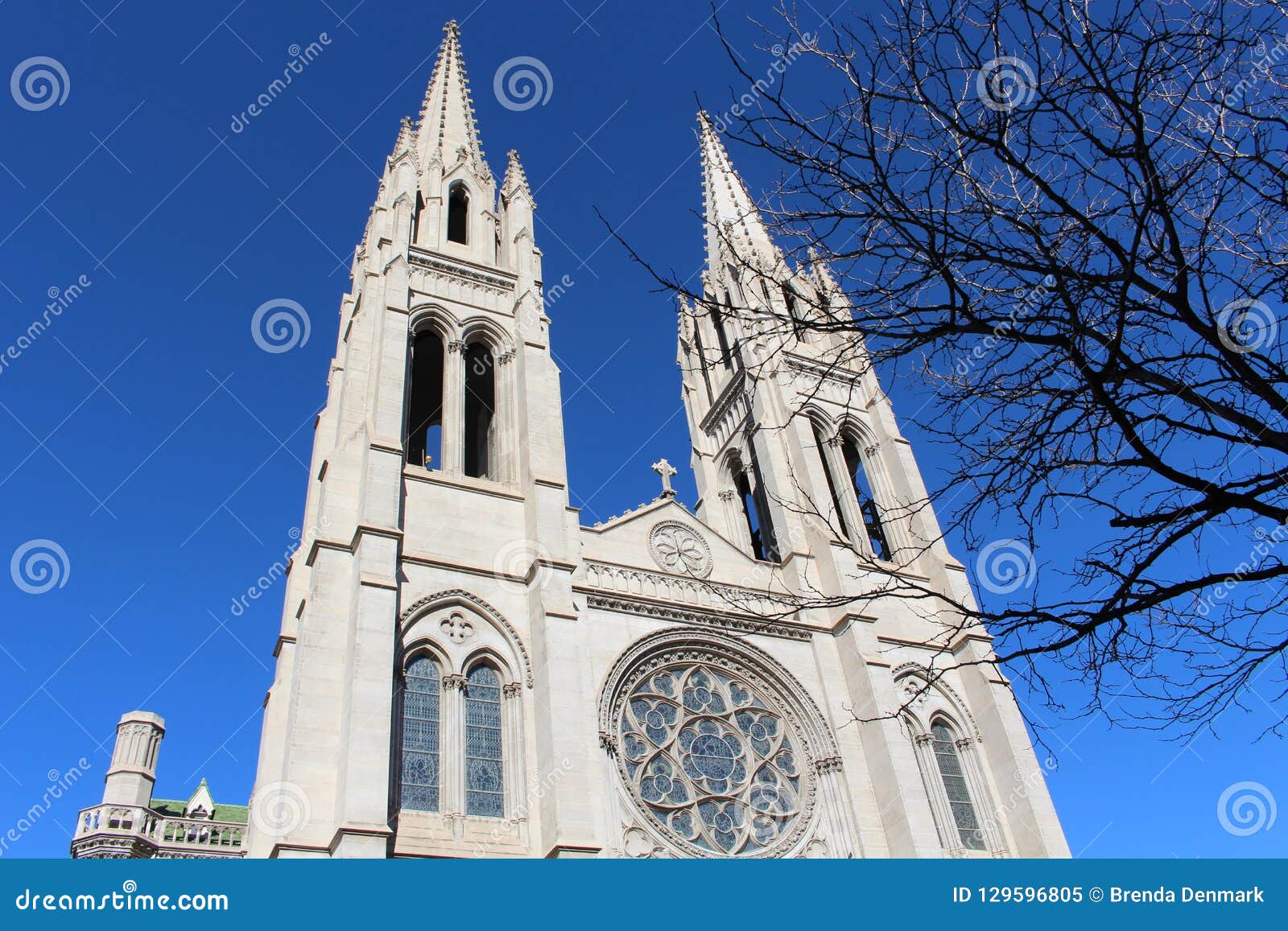 Cathedral Basilica of the Immaculate Conception Stock Image - Image of ...