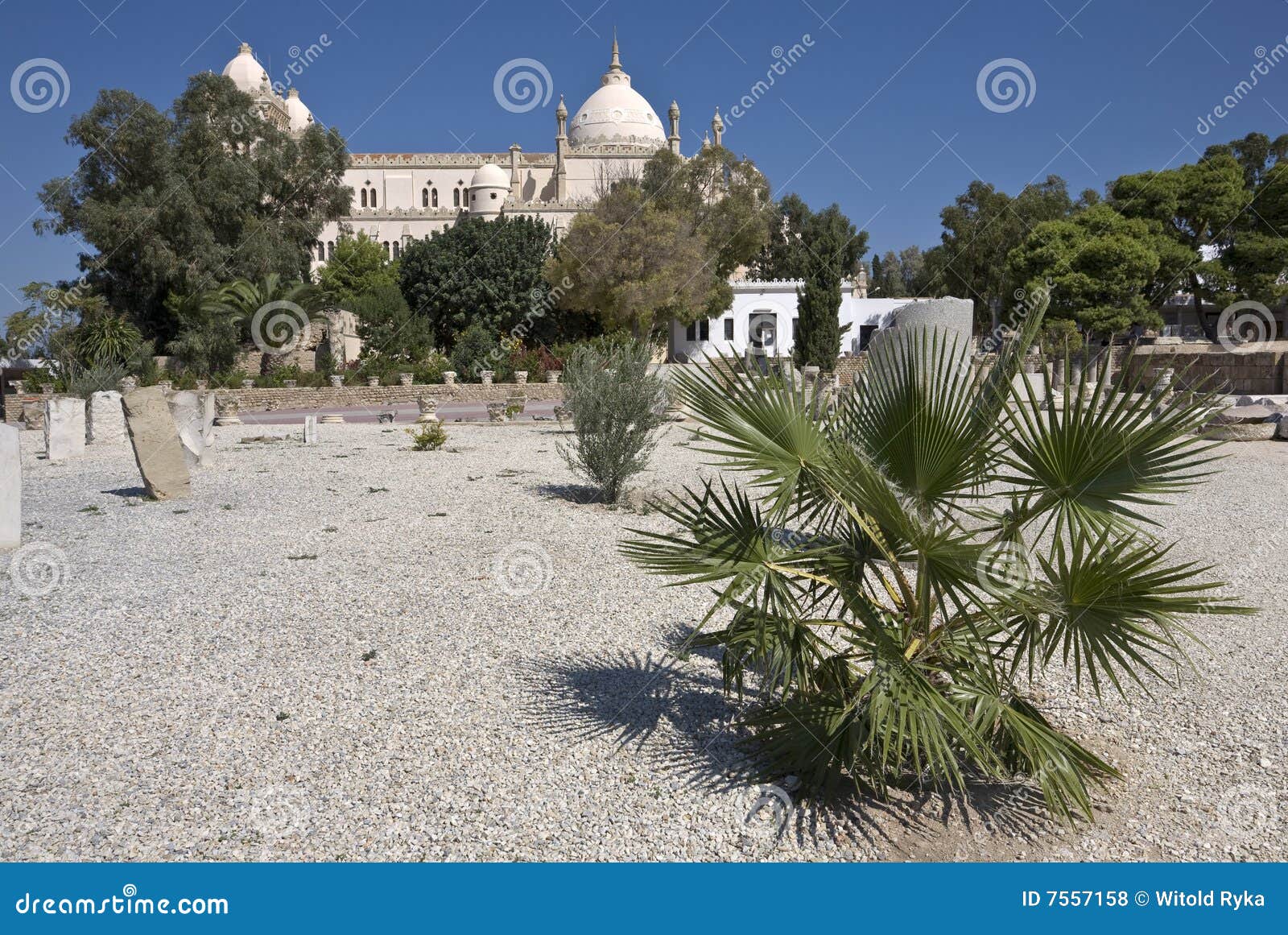 Cathedral of Carthage stock photo. Image of masonry, building - 7557158