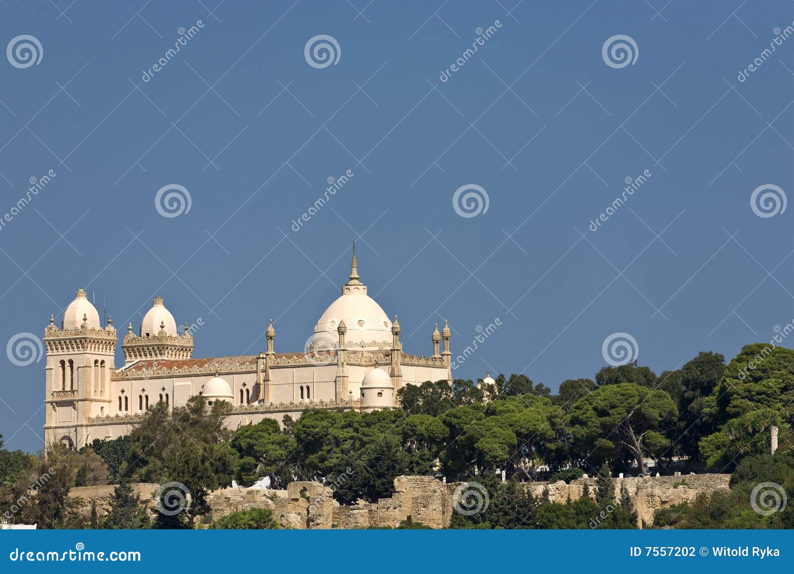Cathedral of Carthage on Byrsa Hill Stock Photo - Image of church ...