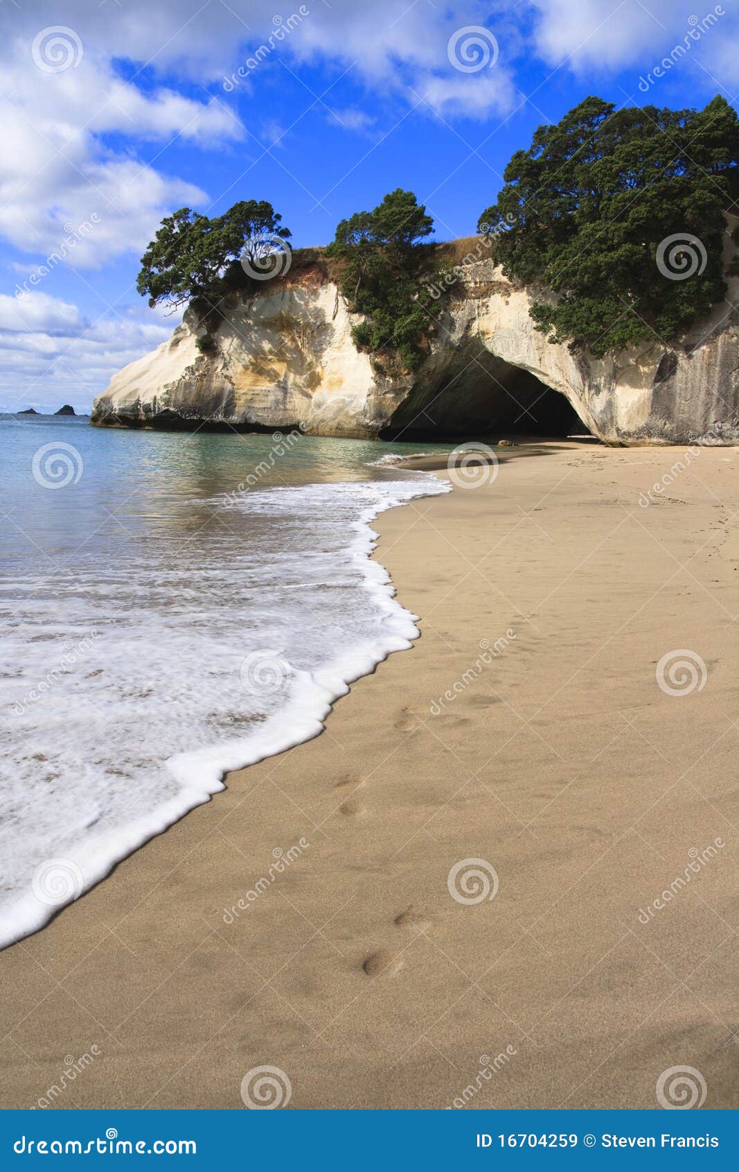 Cathedral Cove Coromandel Arch Stock Image - Image of field, lake: 16704259