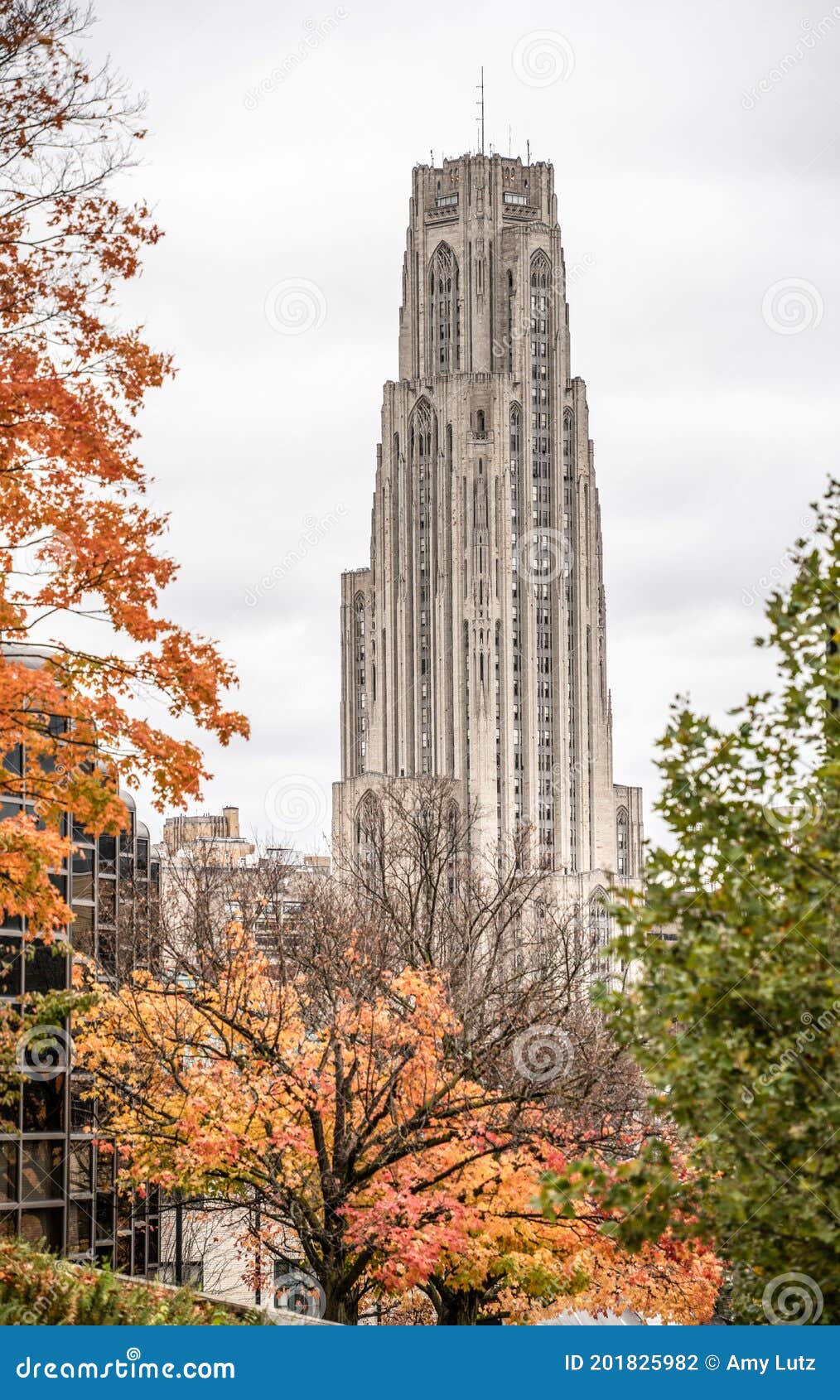 Cathedral Of Learning Inside