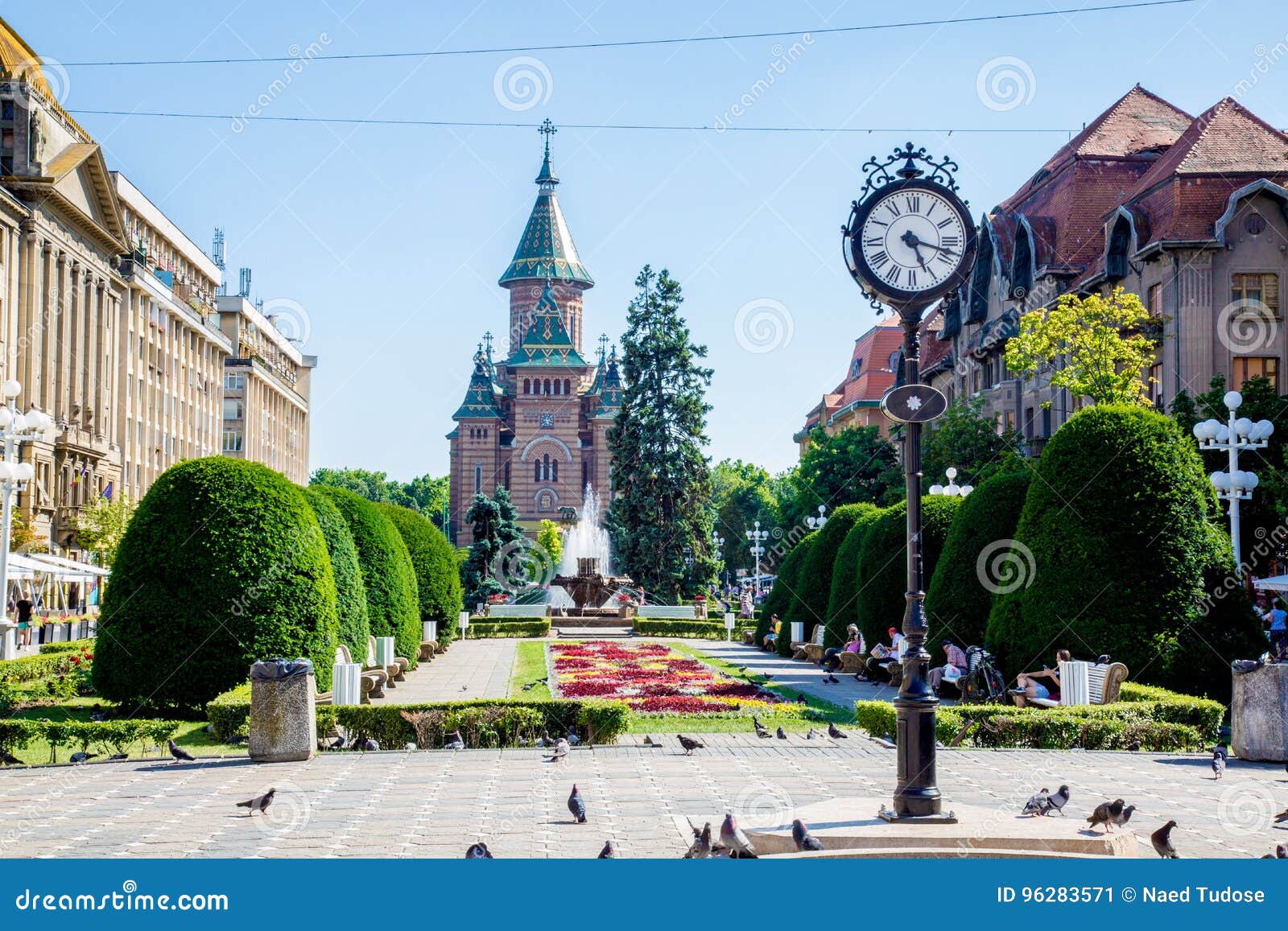 The Cathedral Located in Timisoara, Very Old but Very Beautiful ...