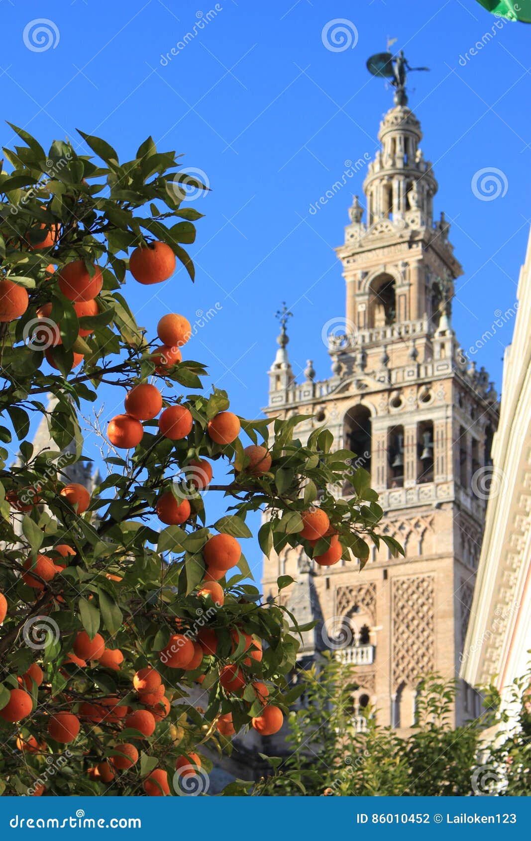 Cathedral of Seville, Spain Stock Photo - Image of andalusia, bright ...