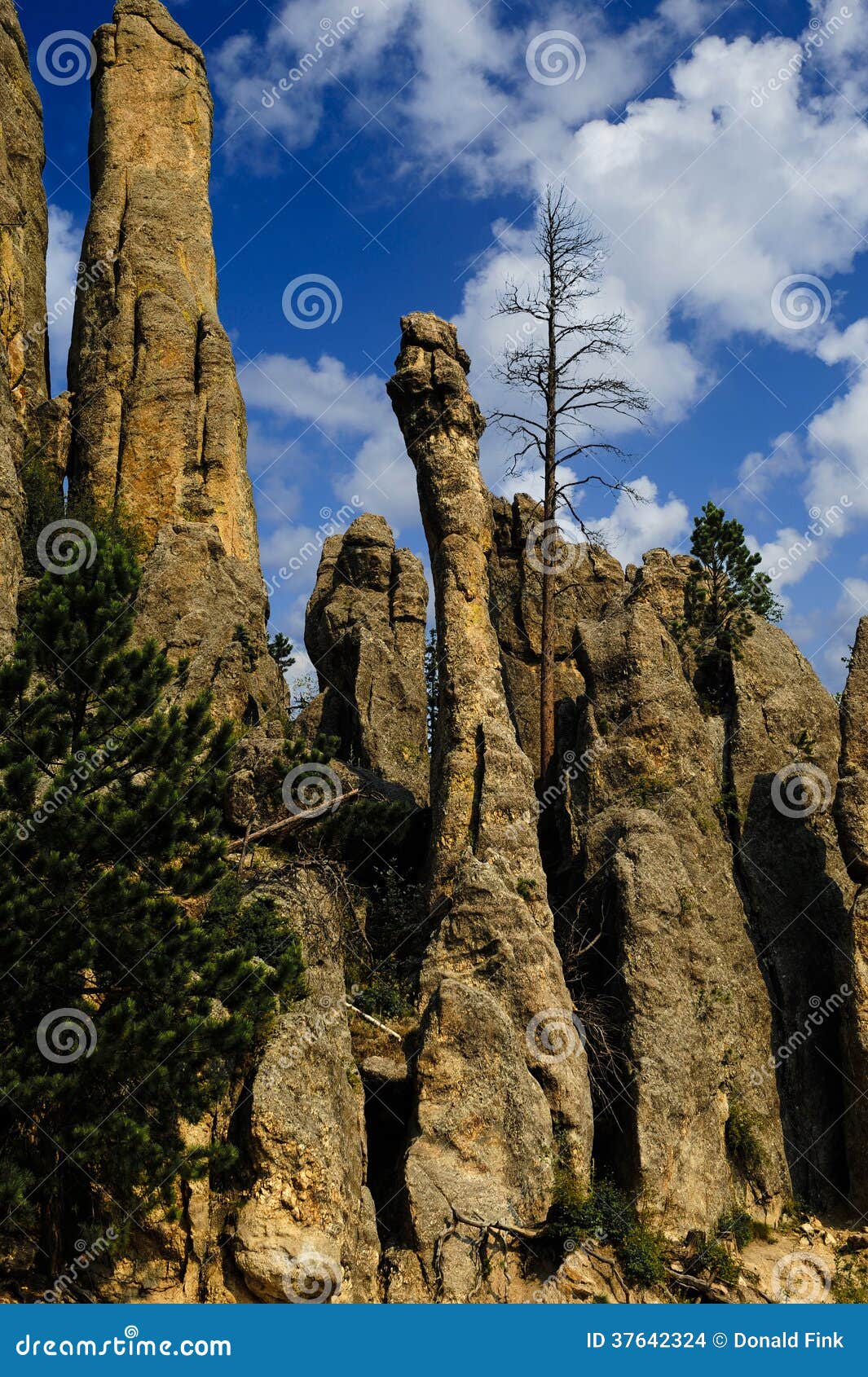 Cathedral Spires Stock Image | CartoonDealer.com #67123747