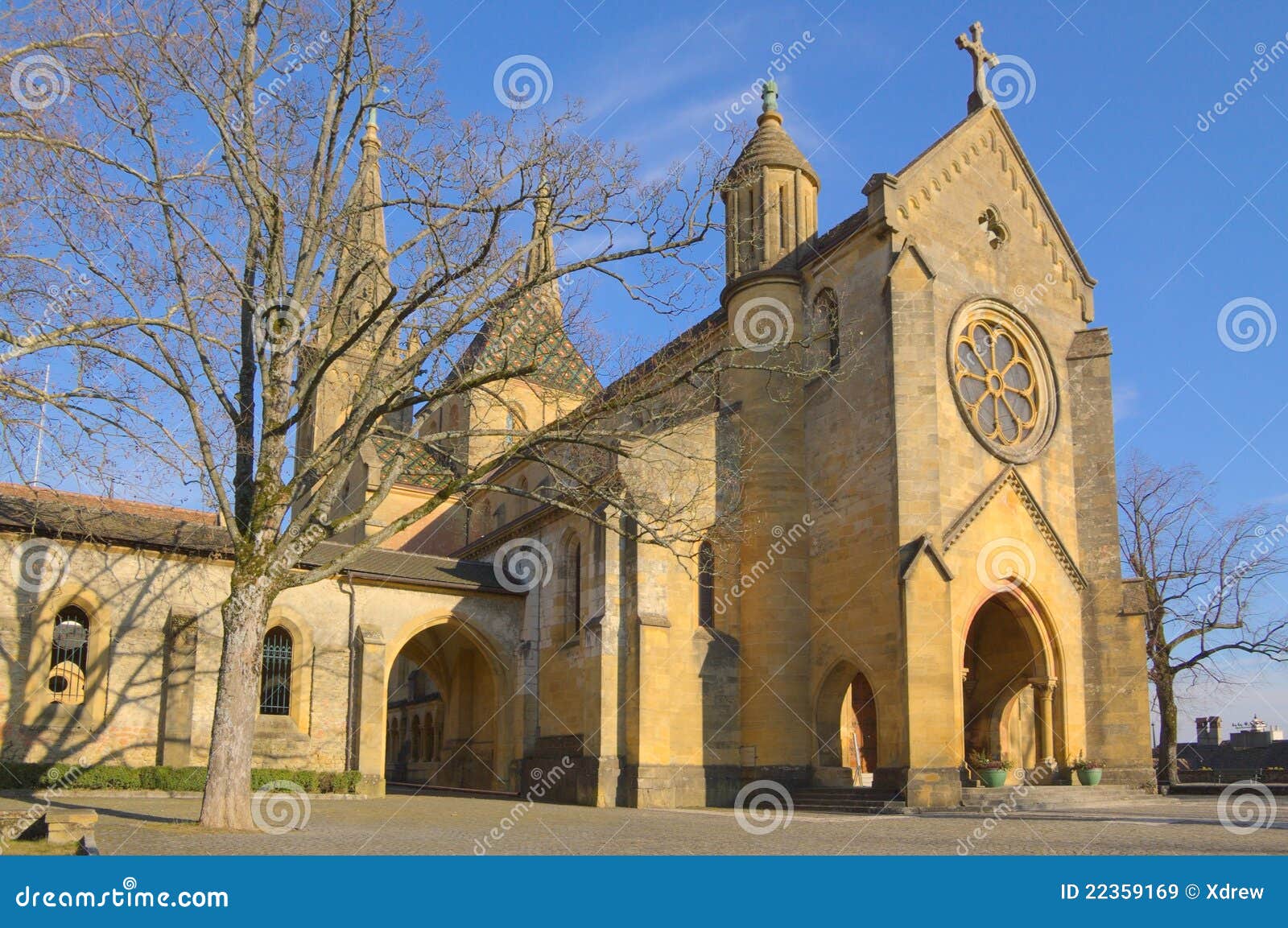 Catholic Cathedral in Trees Stock Image - Image of historic ...