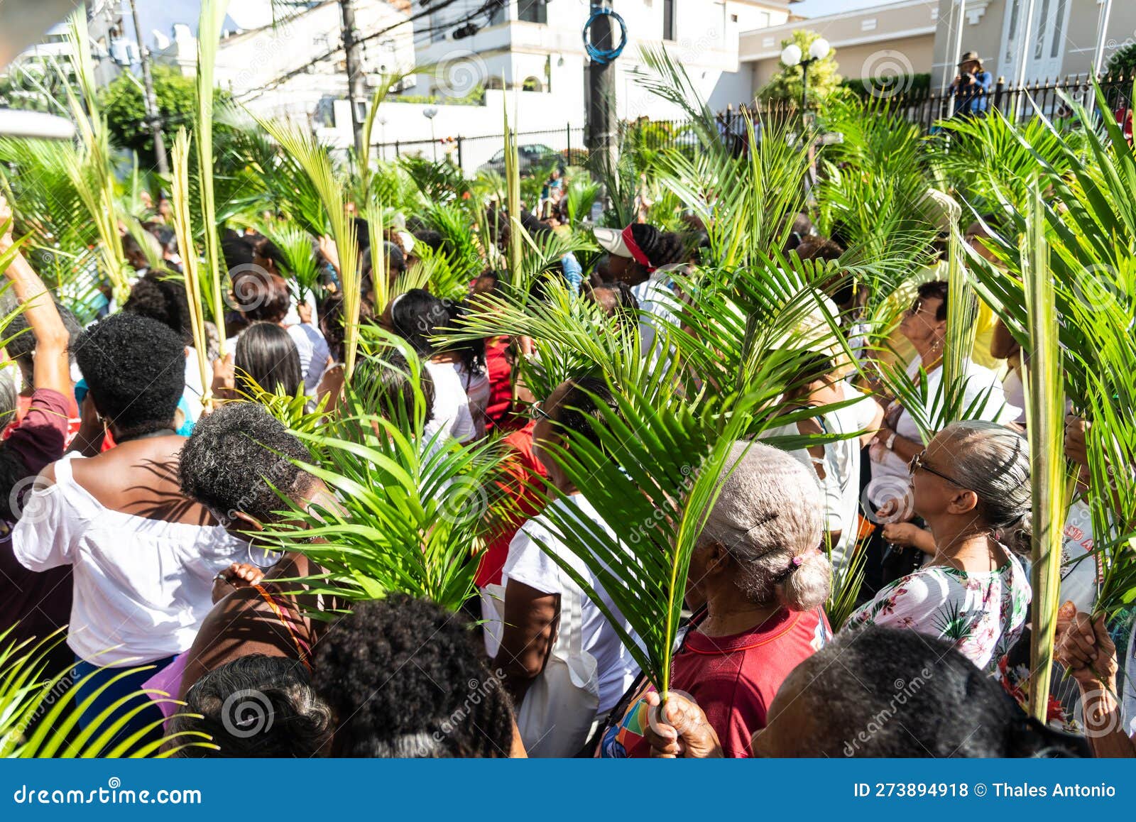 Catholic Worshipers Hold Palm Branches for Palm Sunday Mass Editorial ... Catholic Worshipers Hold Palm Branches for Palm Sunday Mass Editorial ...