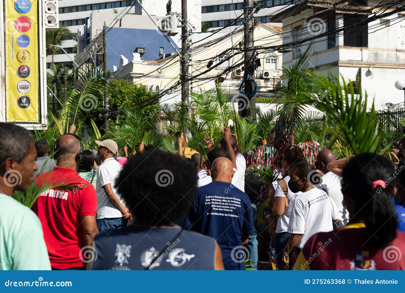 Catholic Worshipers Hold Palm Branches for Palm Sunday Mass Editorial ... Catholic Worshipers Hold Palm Branches for Palm Sunday Mass Editorial ...