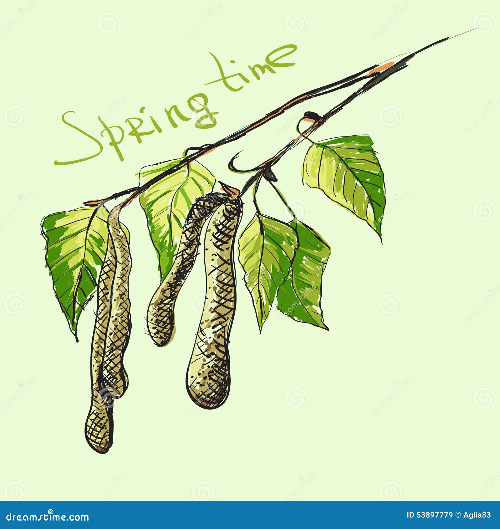 Catkin birch stock vector. Illustration of environmental - 53897779