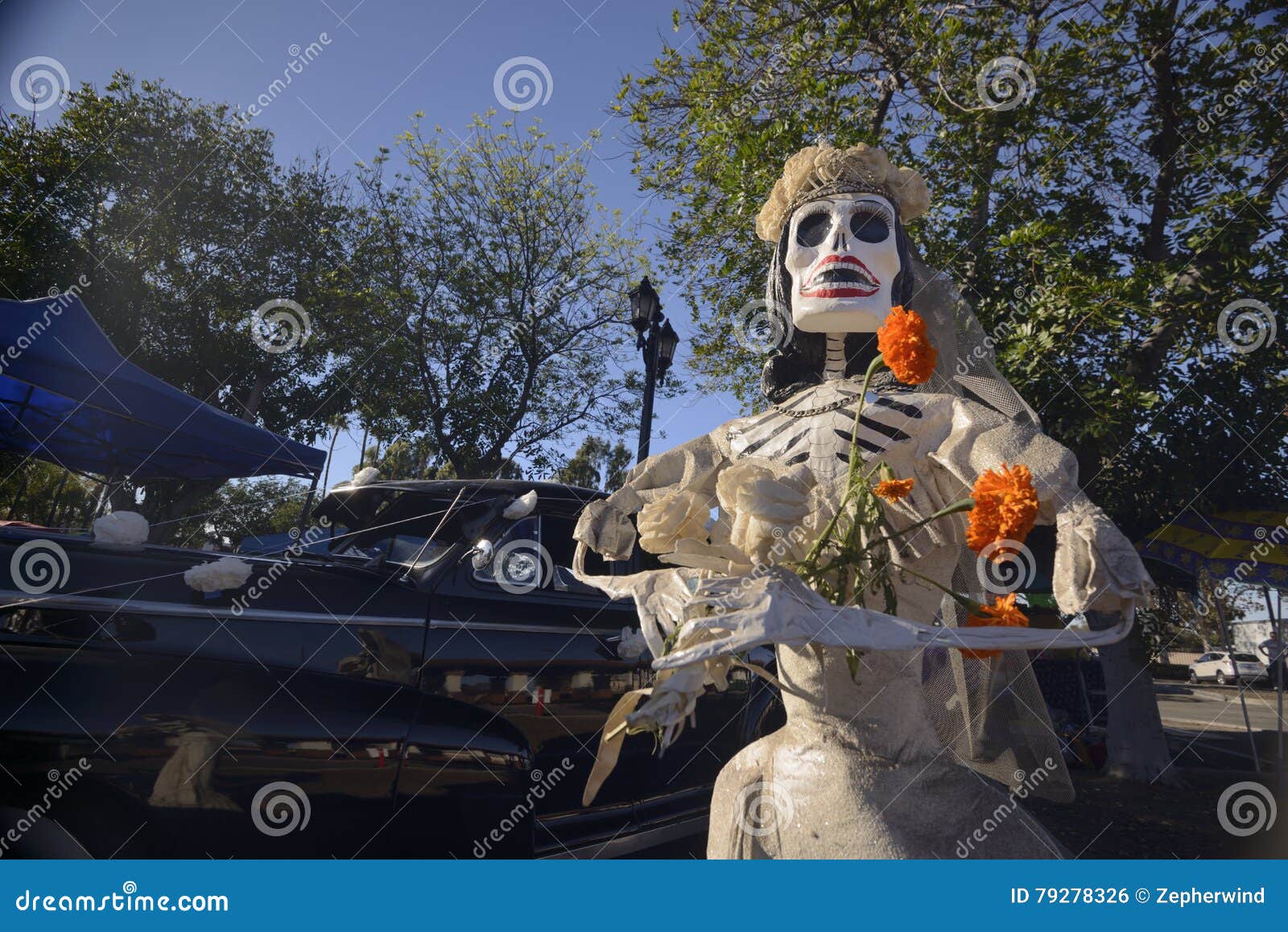 Catrina skeleton stock photo. Image of orange, culture - 79278326
