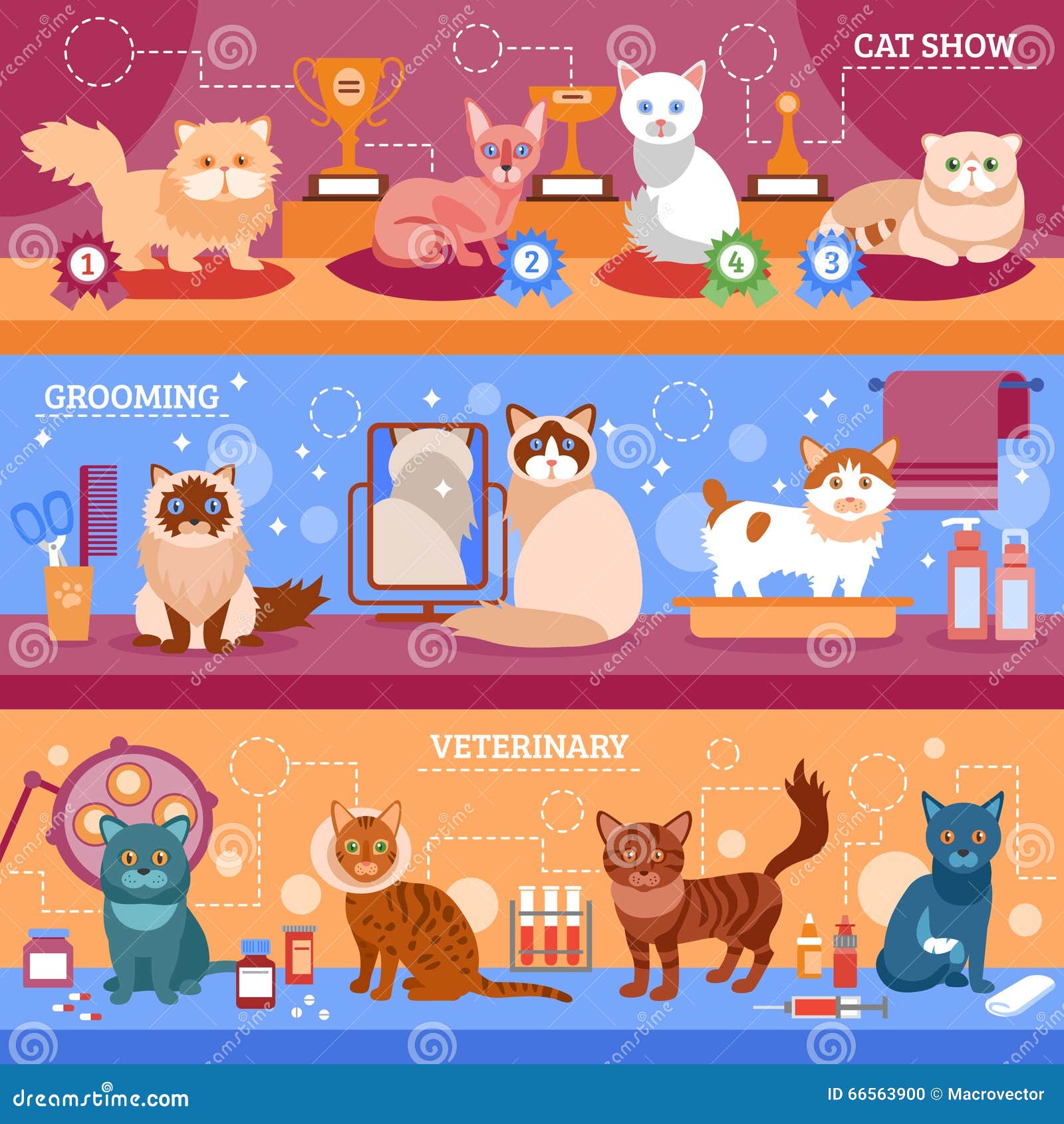 Cats banner set stock vector. Illustration of angora - 66563900