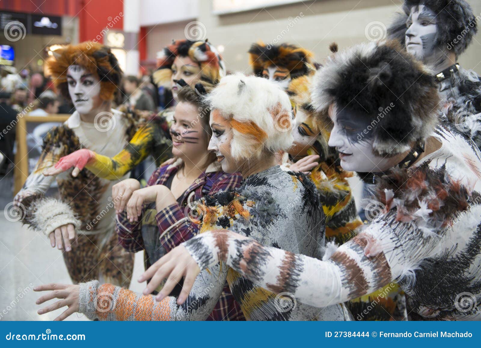 Cats cosplayers editorial stock image. Image of production - 27384444