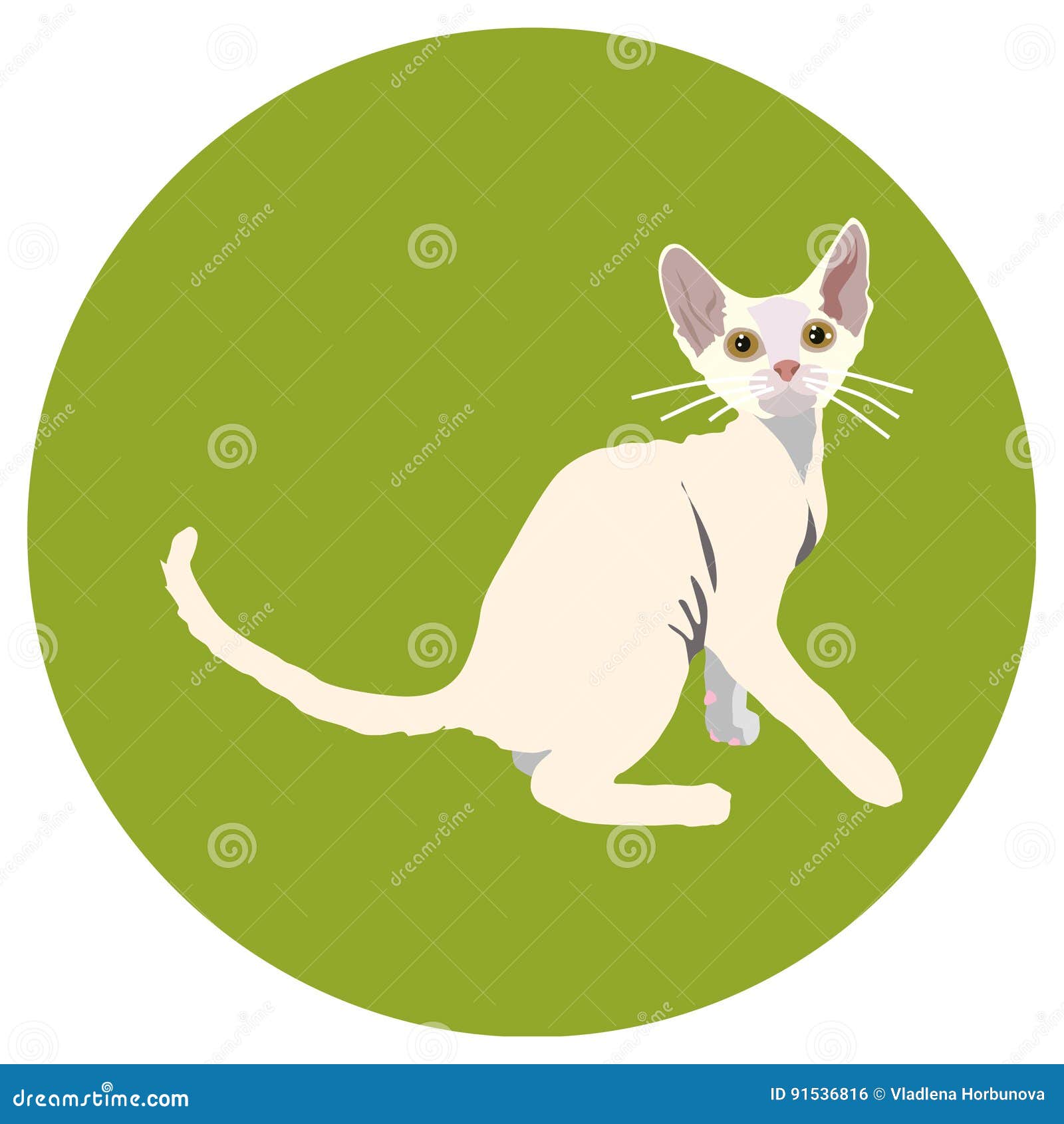 Cats of Different Breeds. Icons. Vector Image in a Flat Style ...