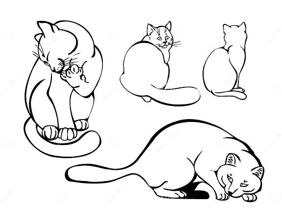 Cats In Different Poses Stock Vector Illustration Of Drawing 65785532