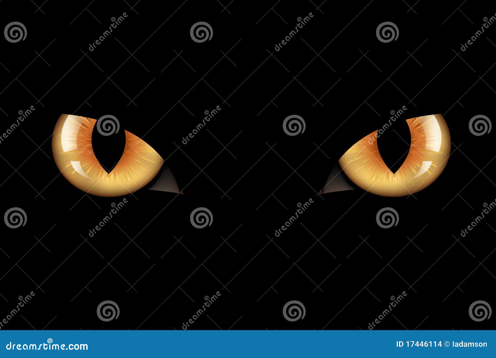 Cats Eyes. Vector stock vector. Illustration of dark - 17446114