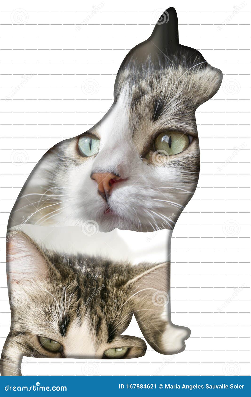 Cats inside a cat. stock illustration. Illustration of pose - 167884621
