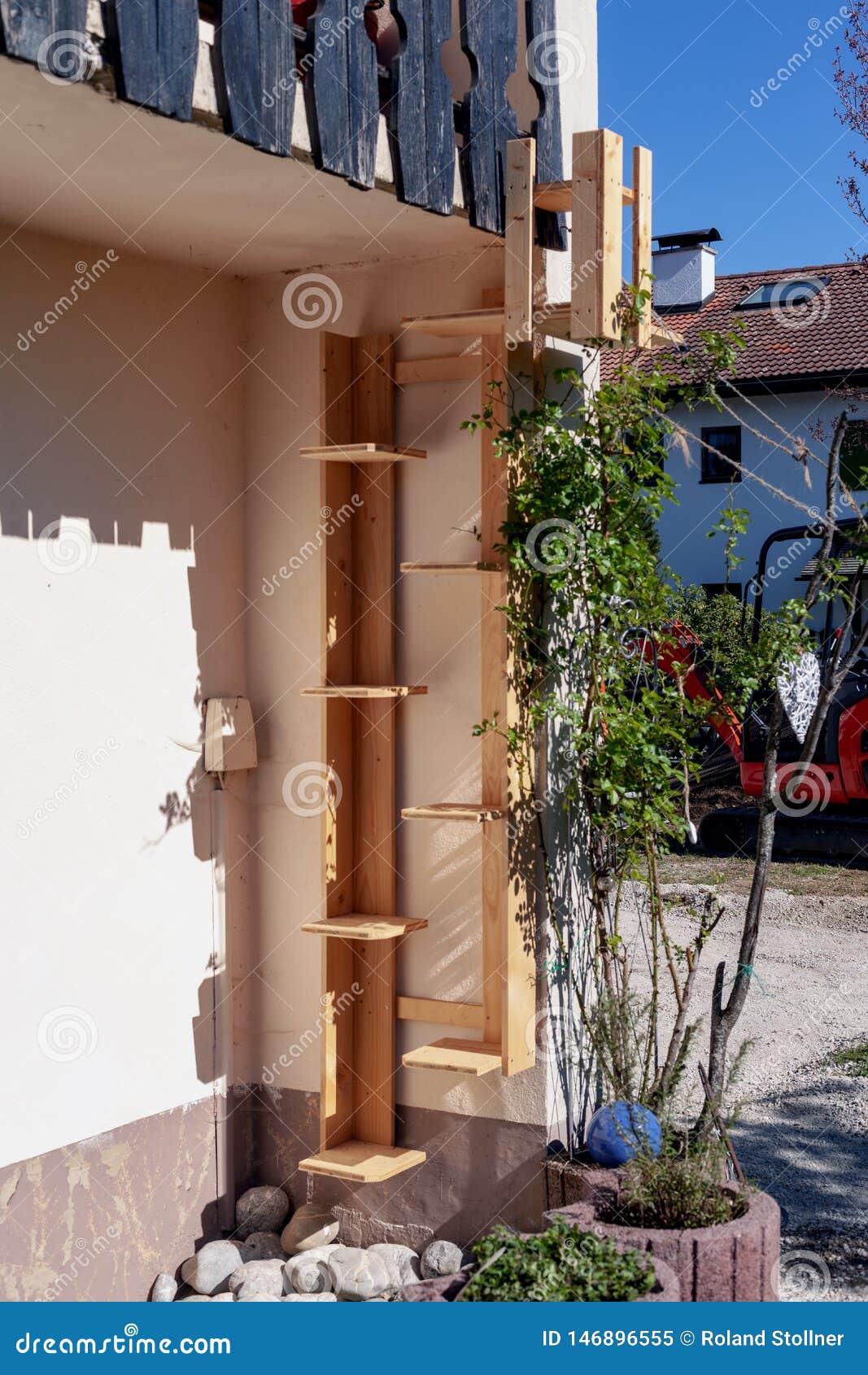 Cats leader stock image. Image of architecture, cats - 146896555