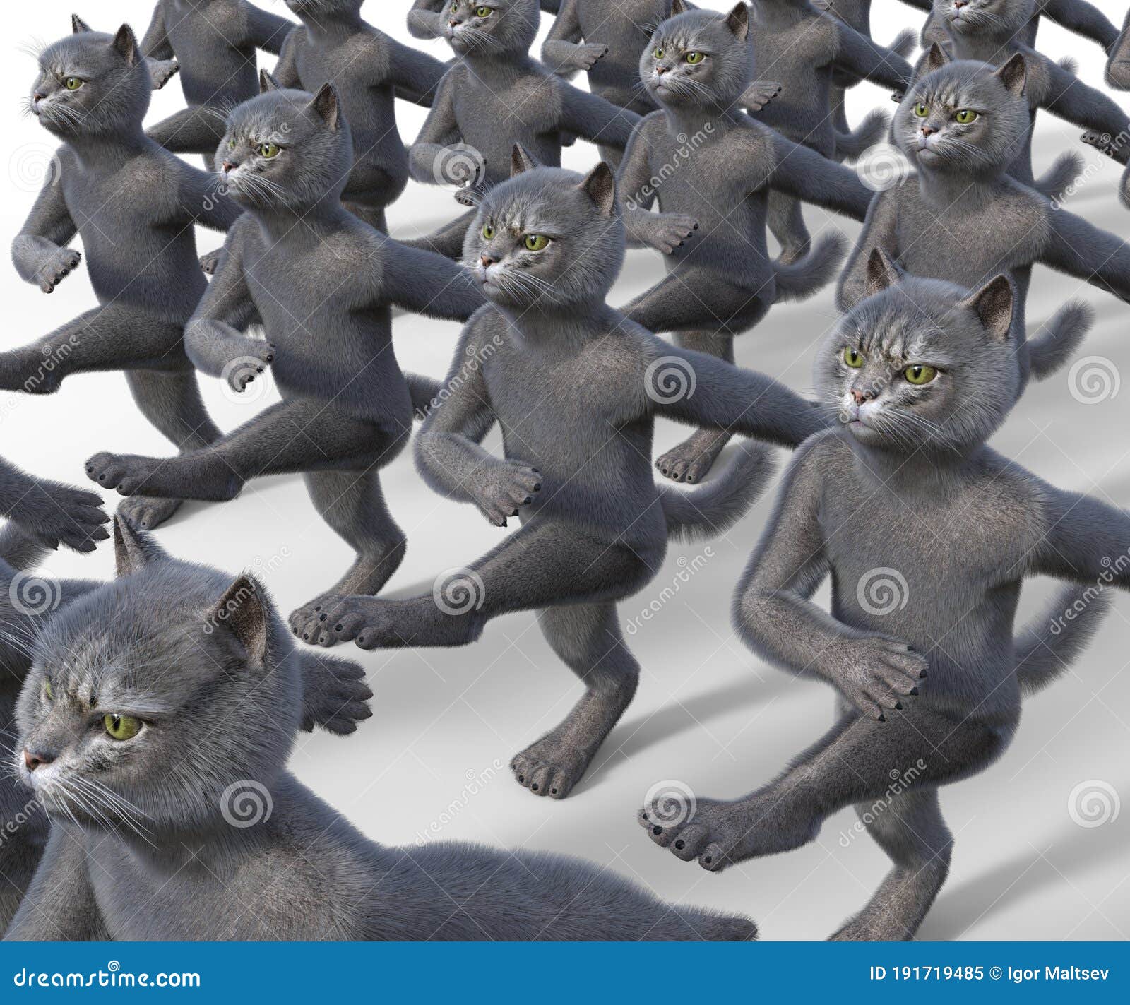 Cats Marching in Formation on White Stock Illustration - Illustration ...