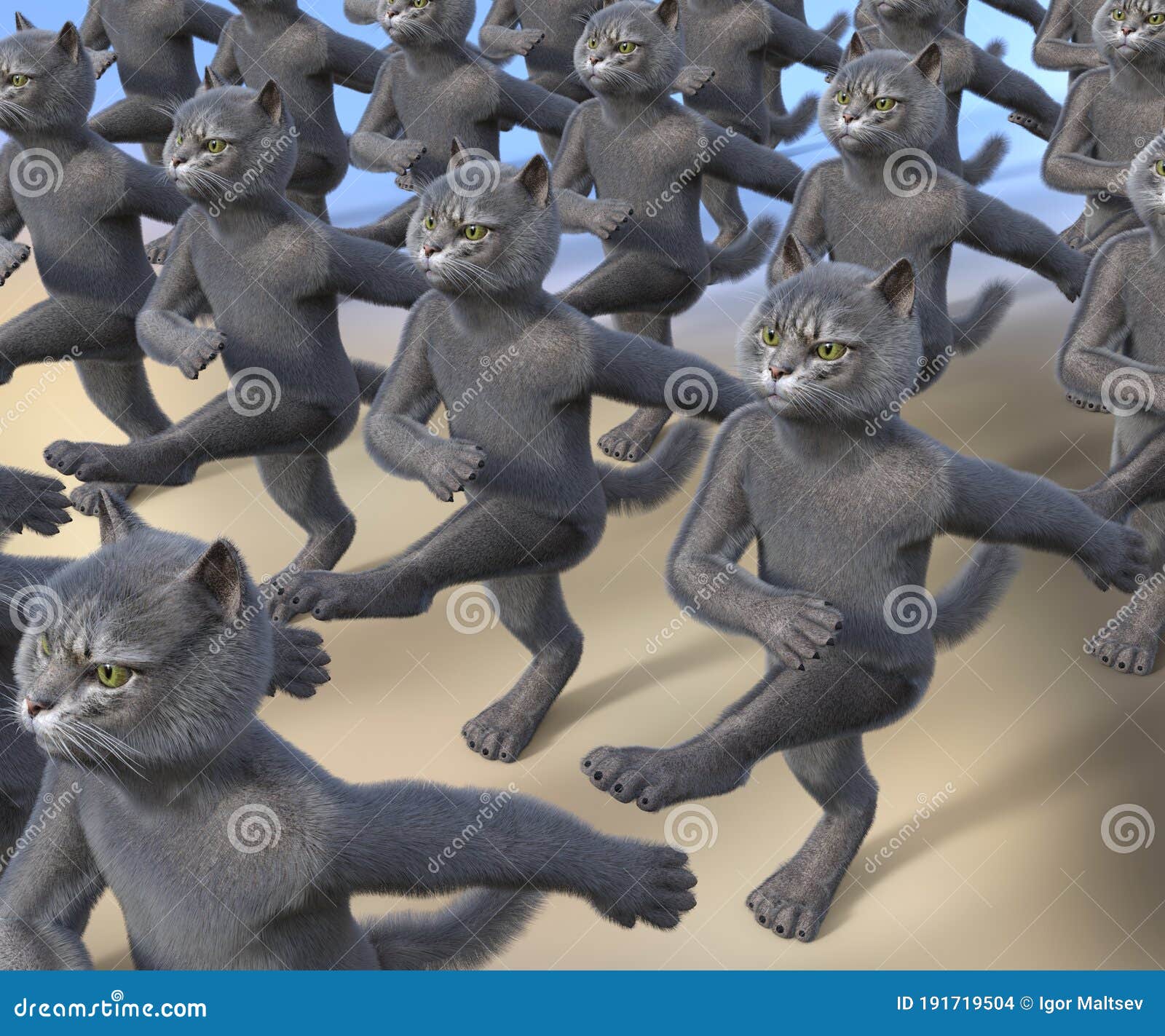 Cats Marching In Organized Formation On Blue Royalty-Free Stock Image ...