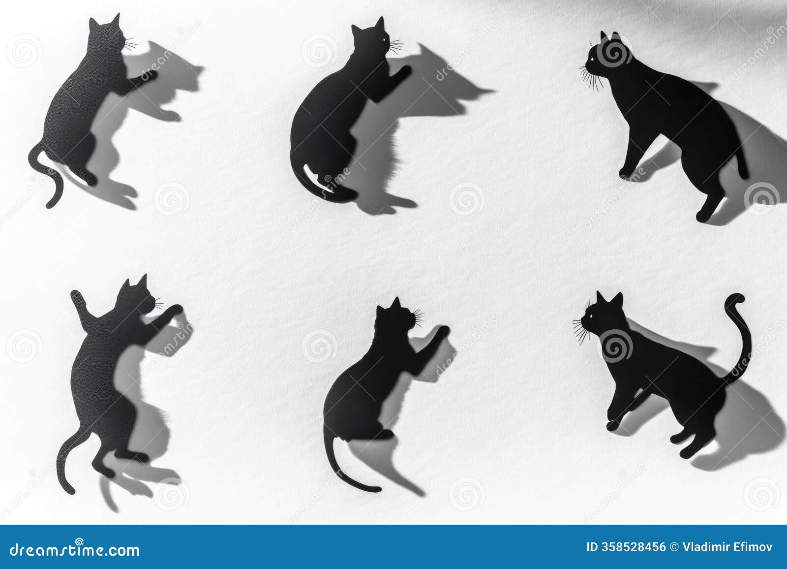 Cats in Motion stock photo. Image of black, movement - 358528456