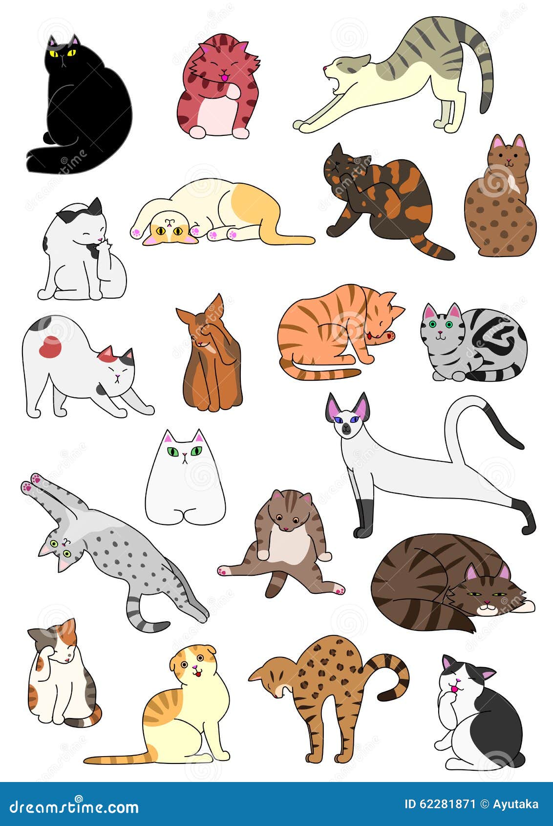 Cats posture set stock vector. Illustration of calico - 62281871