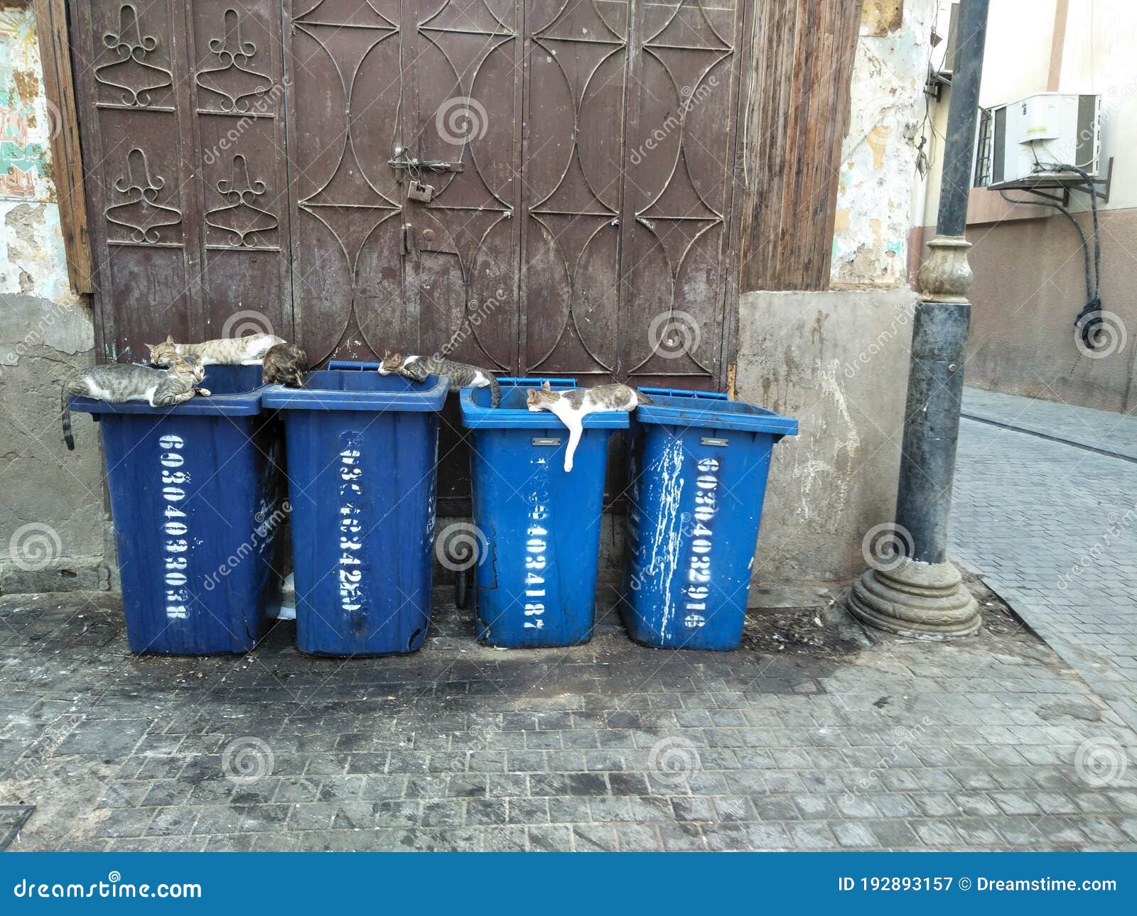 A Blue Garbage Truck Collects Trash From Large Garbage Bins On The Side ...