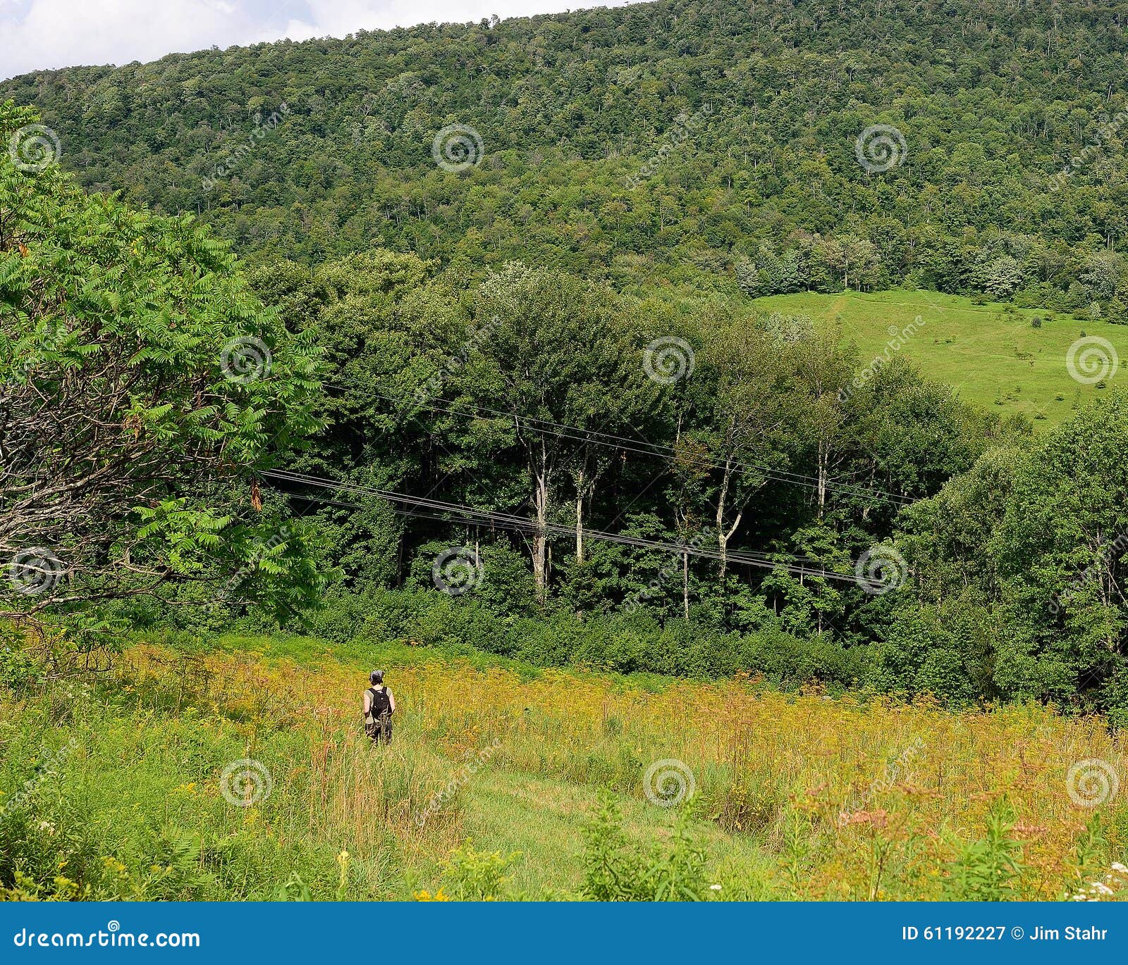 Catskill Mountain Summer Hiker Stock Image - Image of newyorkstate ...