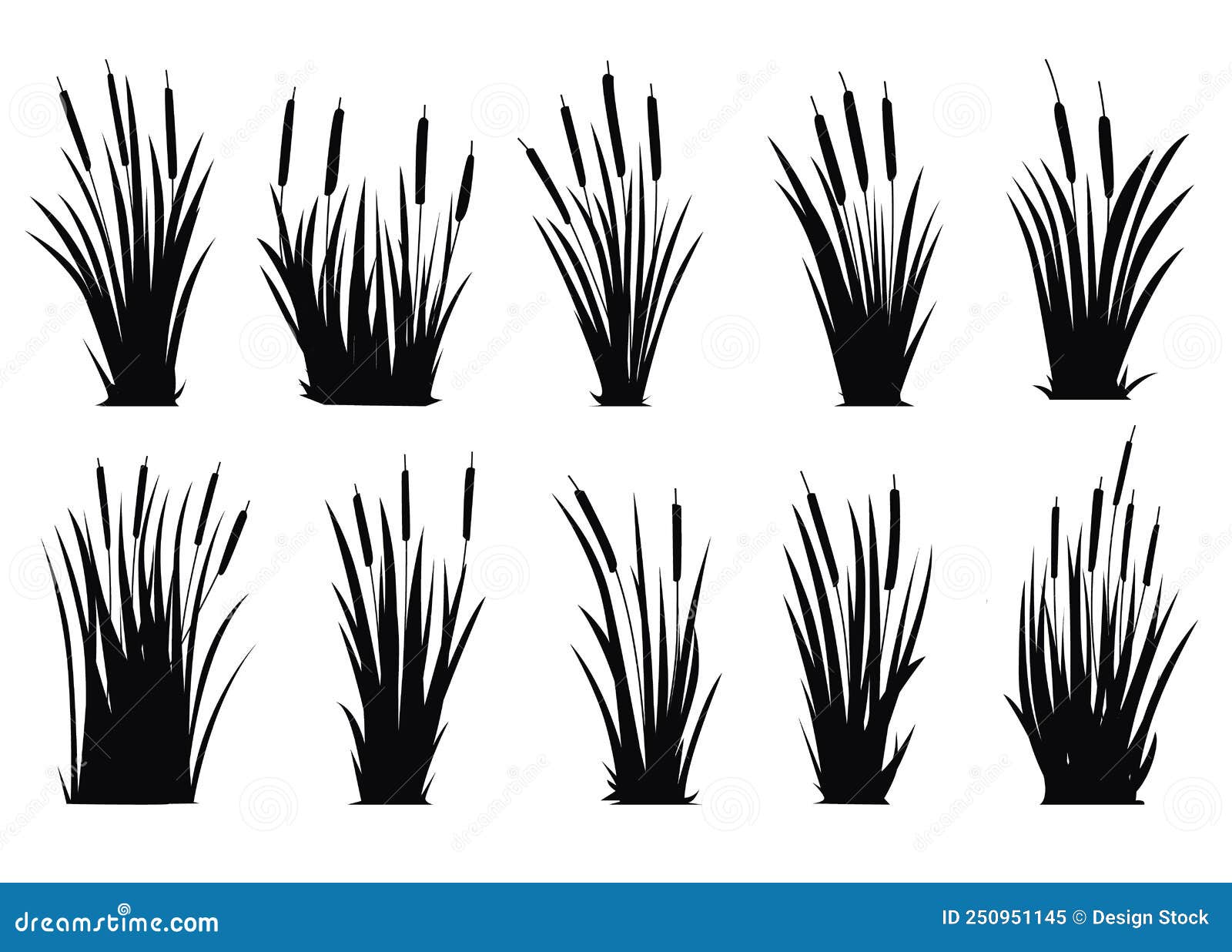 Cattails Vector Silhouettes Collections Stock Vector - Illustration of ...