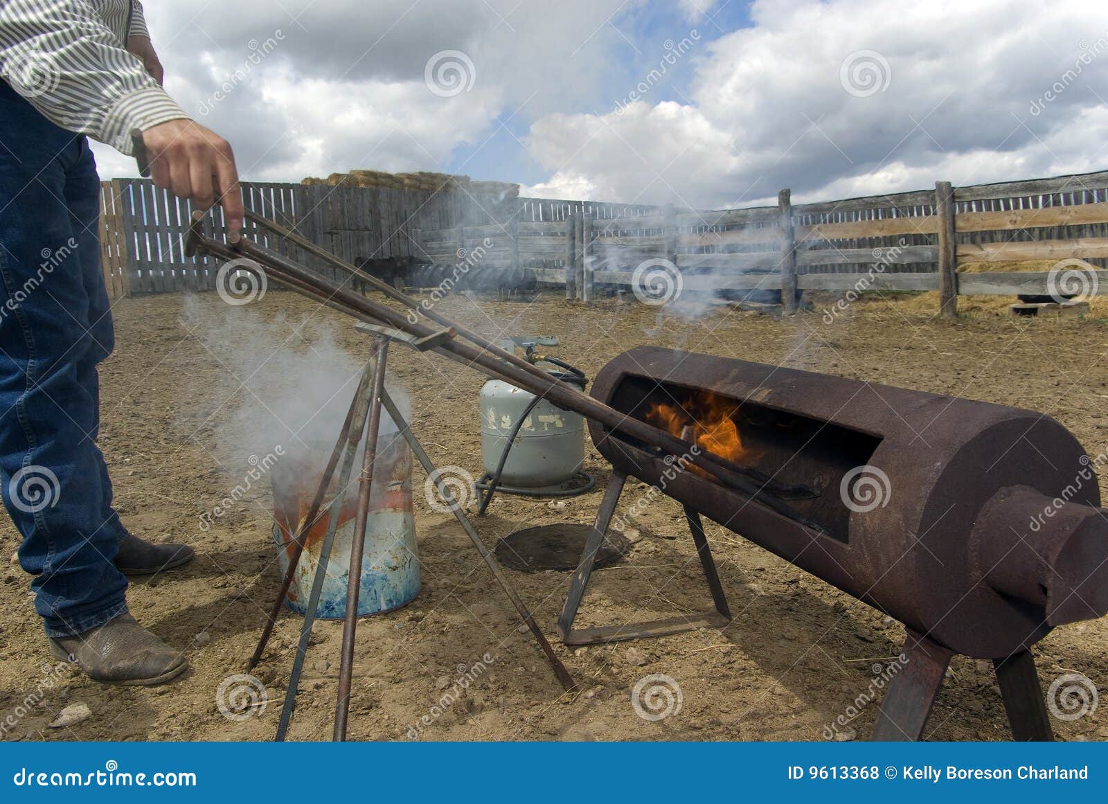 Cattle Branding Activities stock photo. Image of farming - 9613368