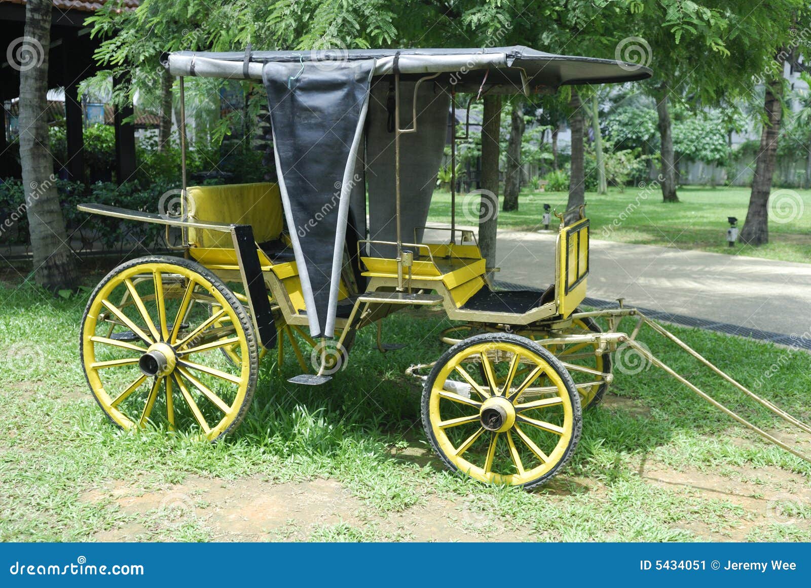 Cattle Cart stock image. Image of cart, horse, cattle - 5434051