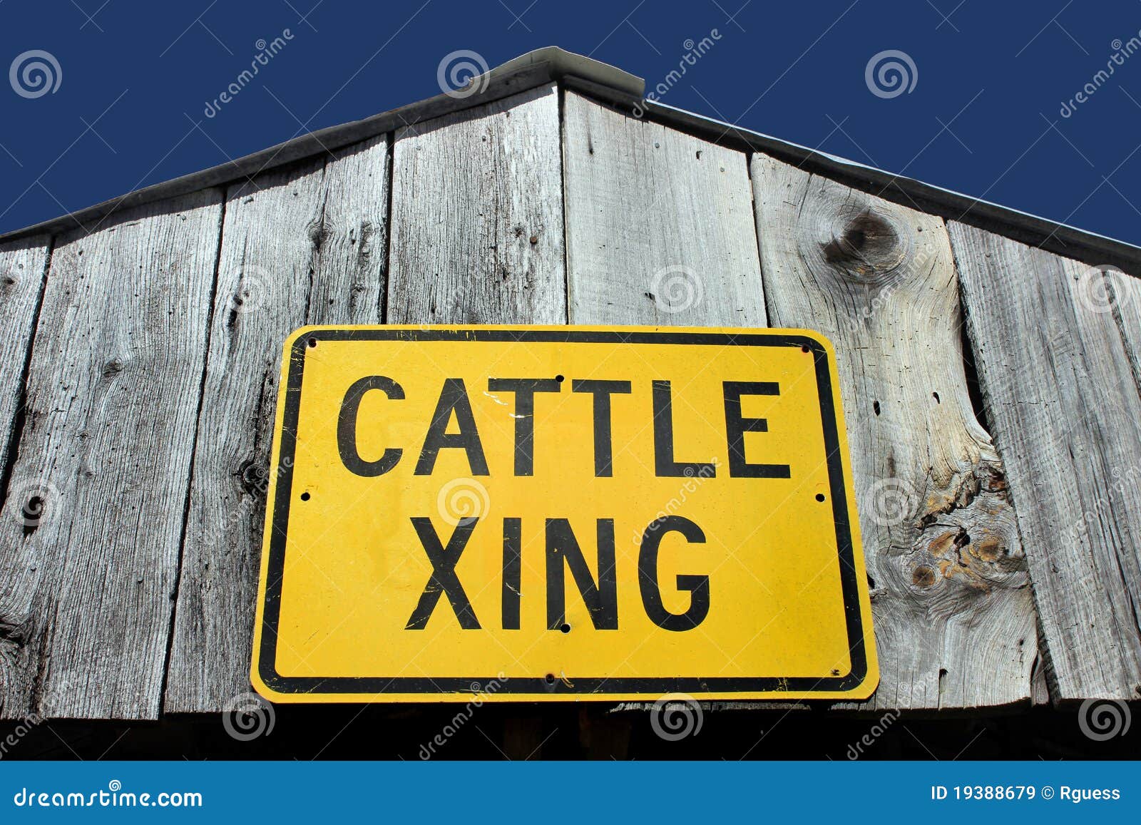Cattle crossing sign stock image. Image of background - 19388679