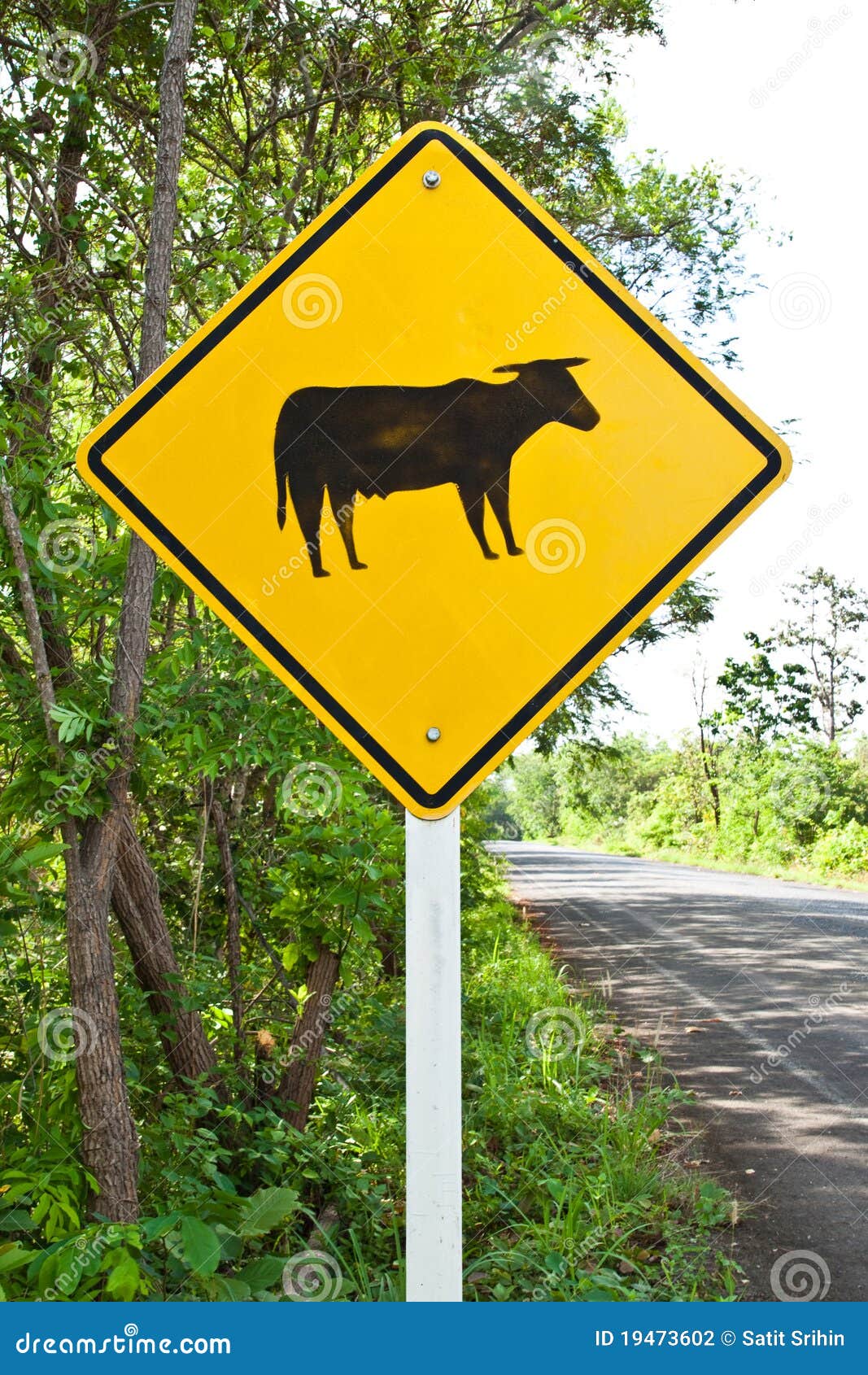 The Cattle crossing Sign stock photo. Image of icon, tree - 19473602