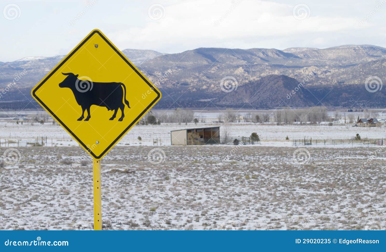 Cattle Crossing Road Sign In Highway 68 Utah Royalty-Free Stock ...