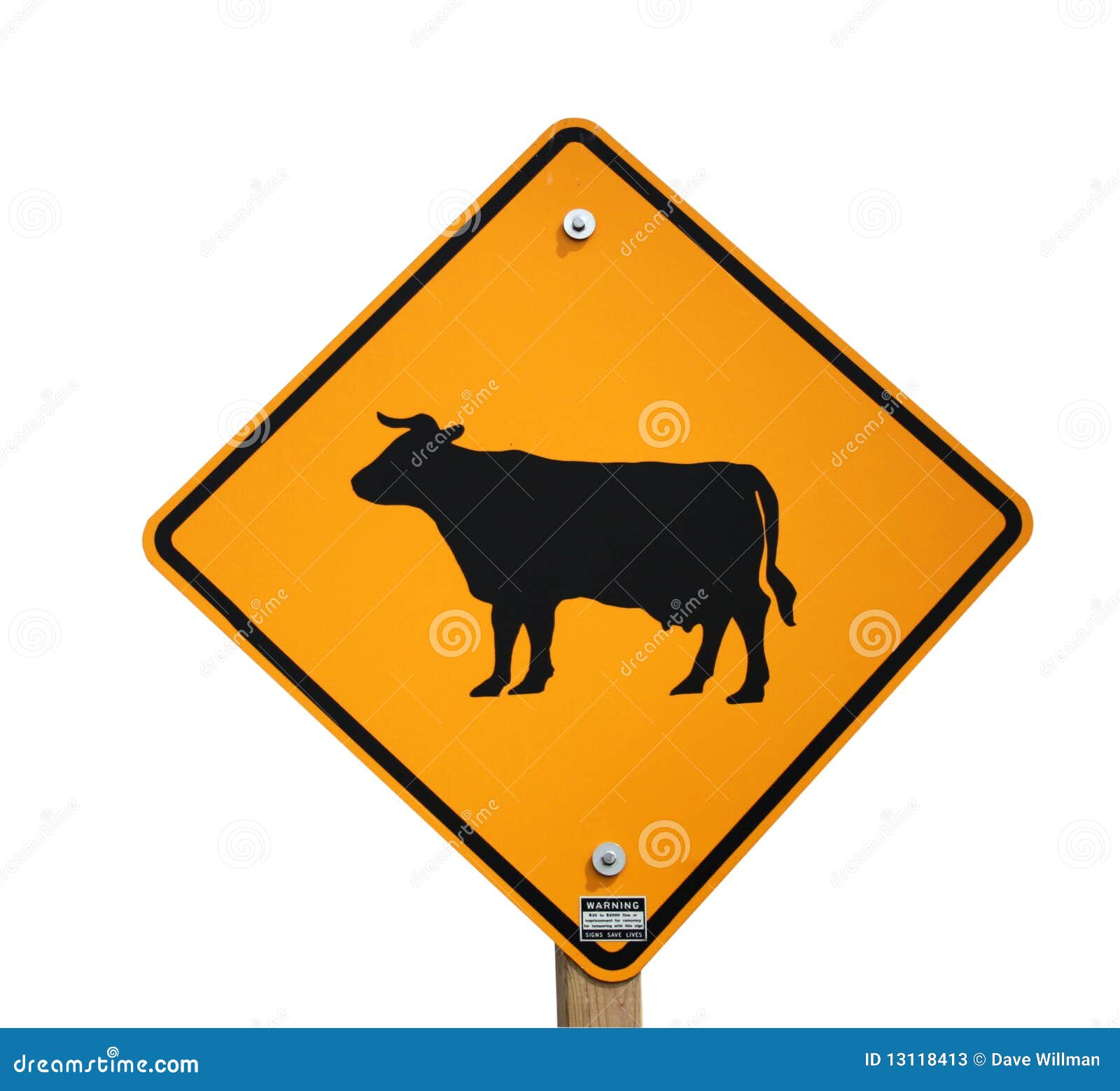 Cattle Crossing Sign Isolated Stock Image - Image of path, sign: 13118413