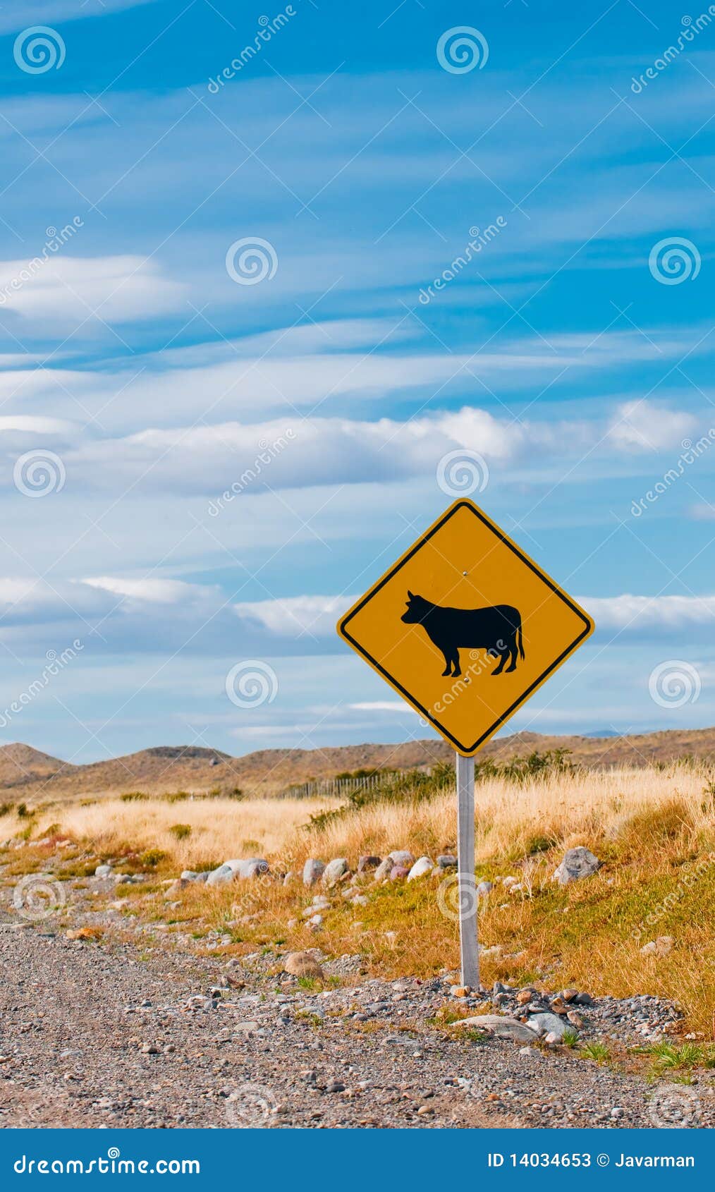 Cattle Crossing Warning Road Sign Stock Image - Image of warning, road ...