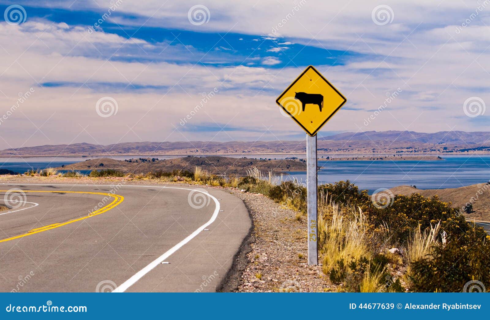 Cattle Crossing Warning Road Sign Stock Image - Image of caution ...