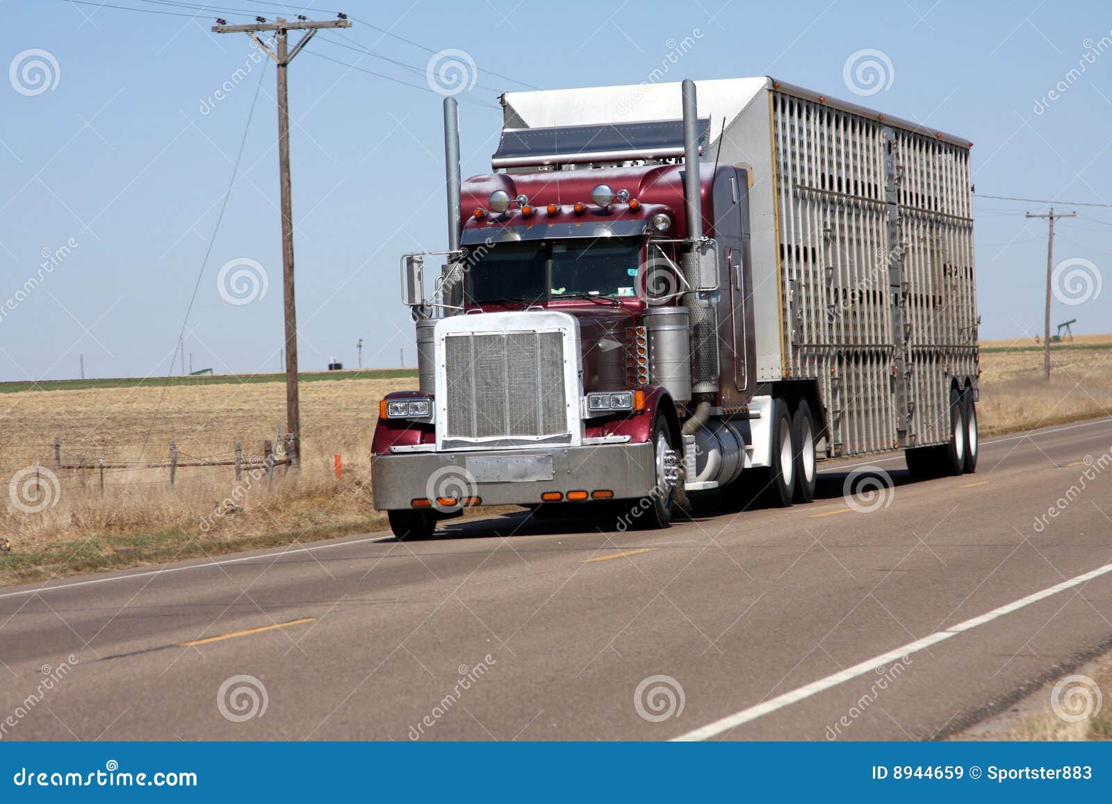 Cattle delivery stock image. Image of camper, cattle, lorry - 8944659