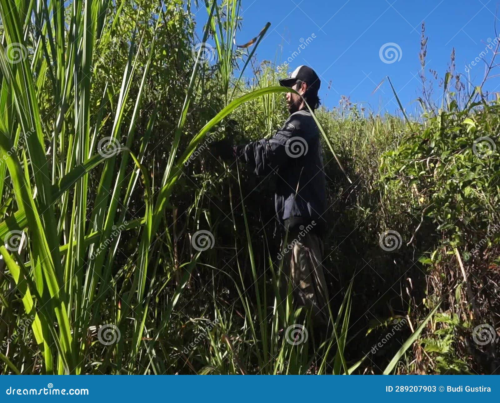 Cattle Farmer Mowing the Grass Stock Video - Video of peasant, grass ...
