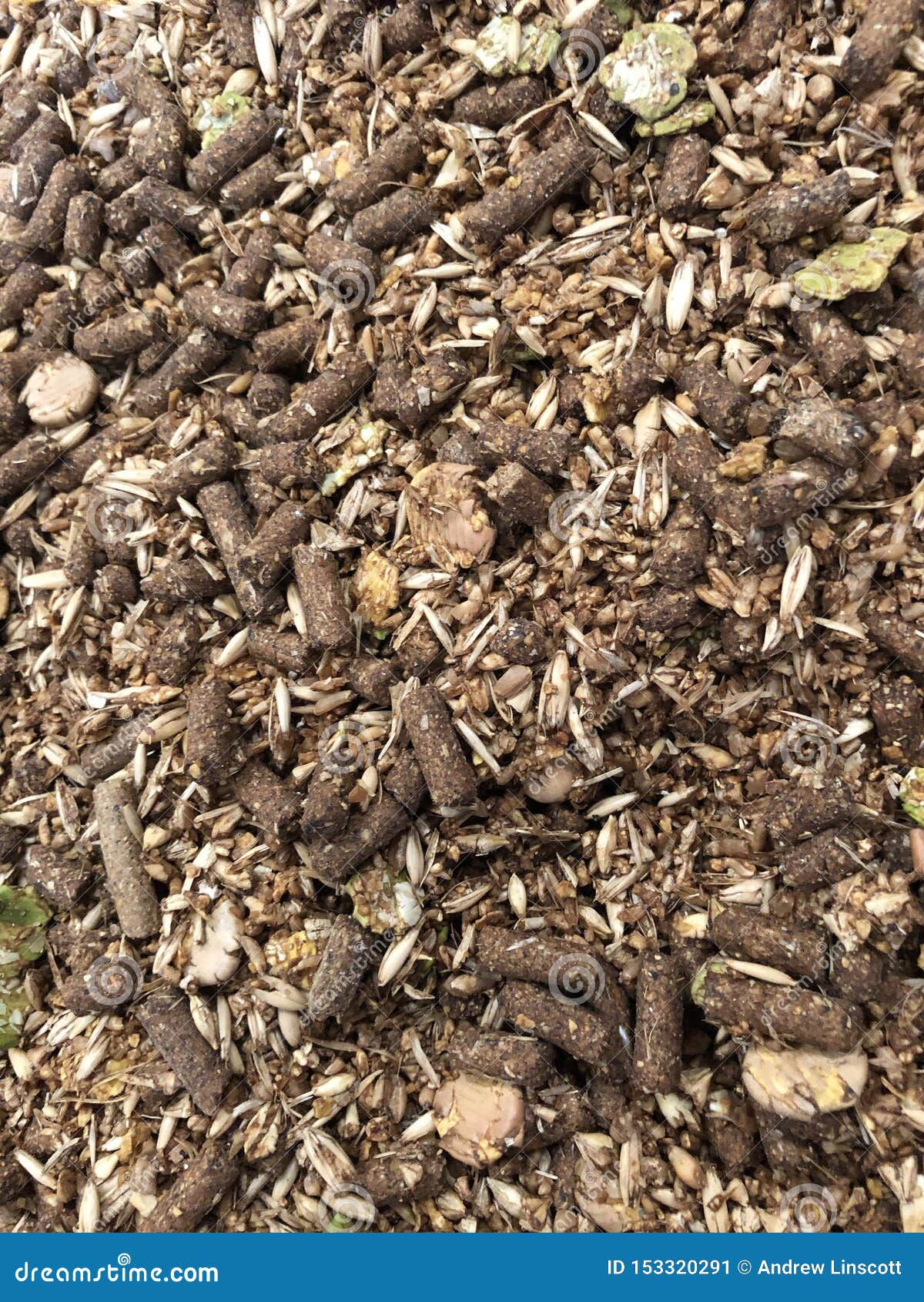 Feed Formulation Stock Photos - Free & Royalty-Free Stock Photos from ...